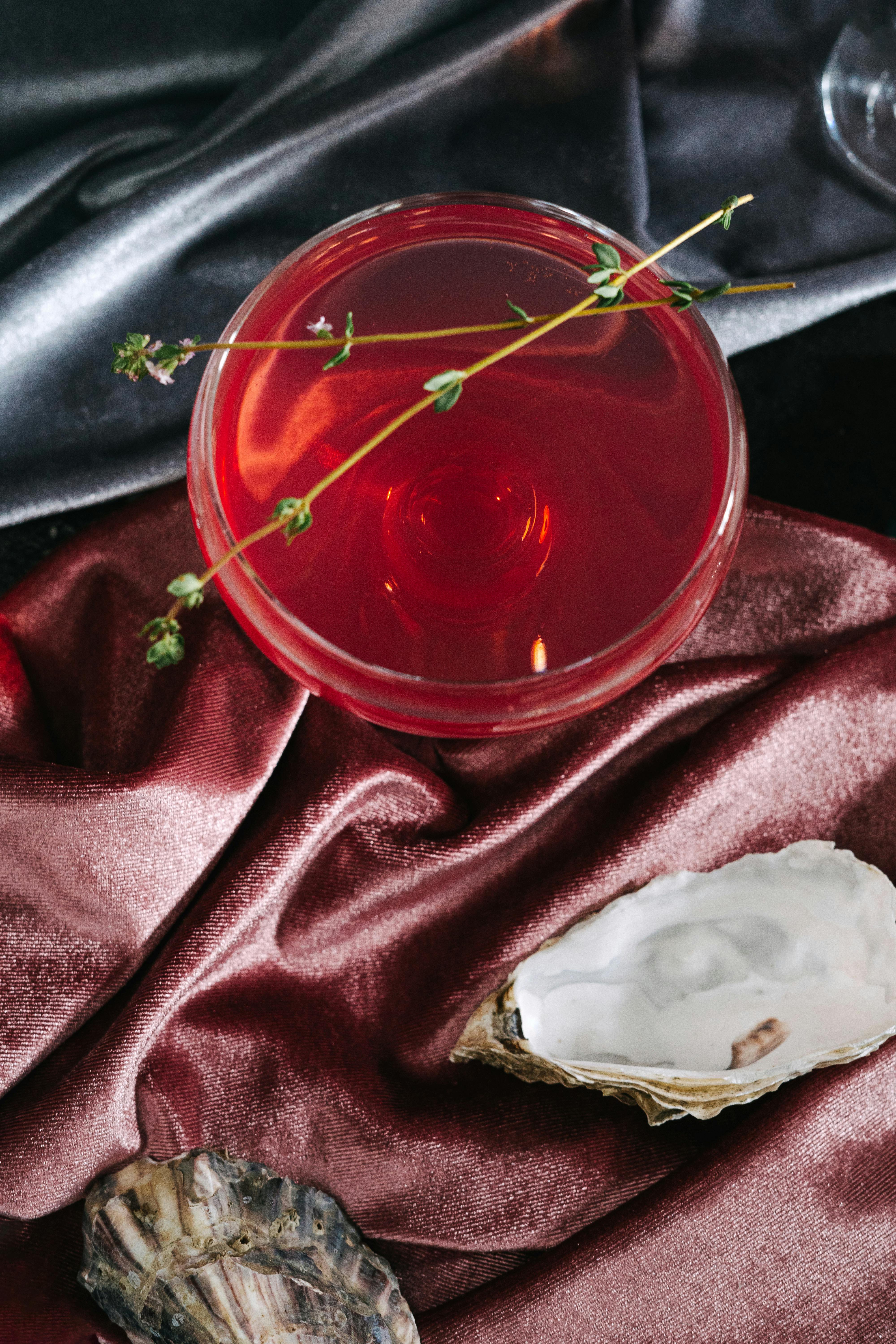 Red Beverage in a Cocktail Glass · Free Stock Photo