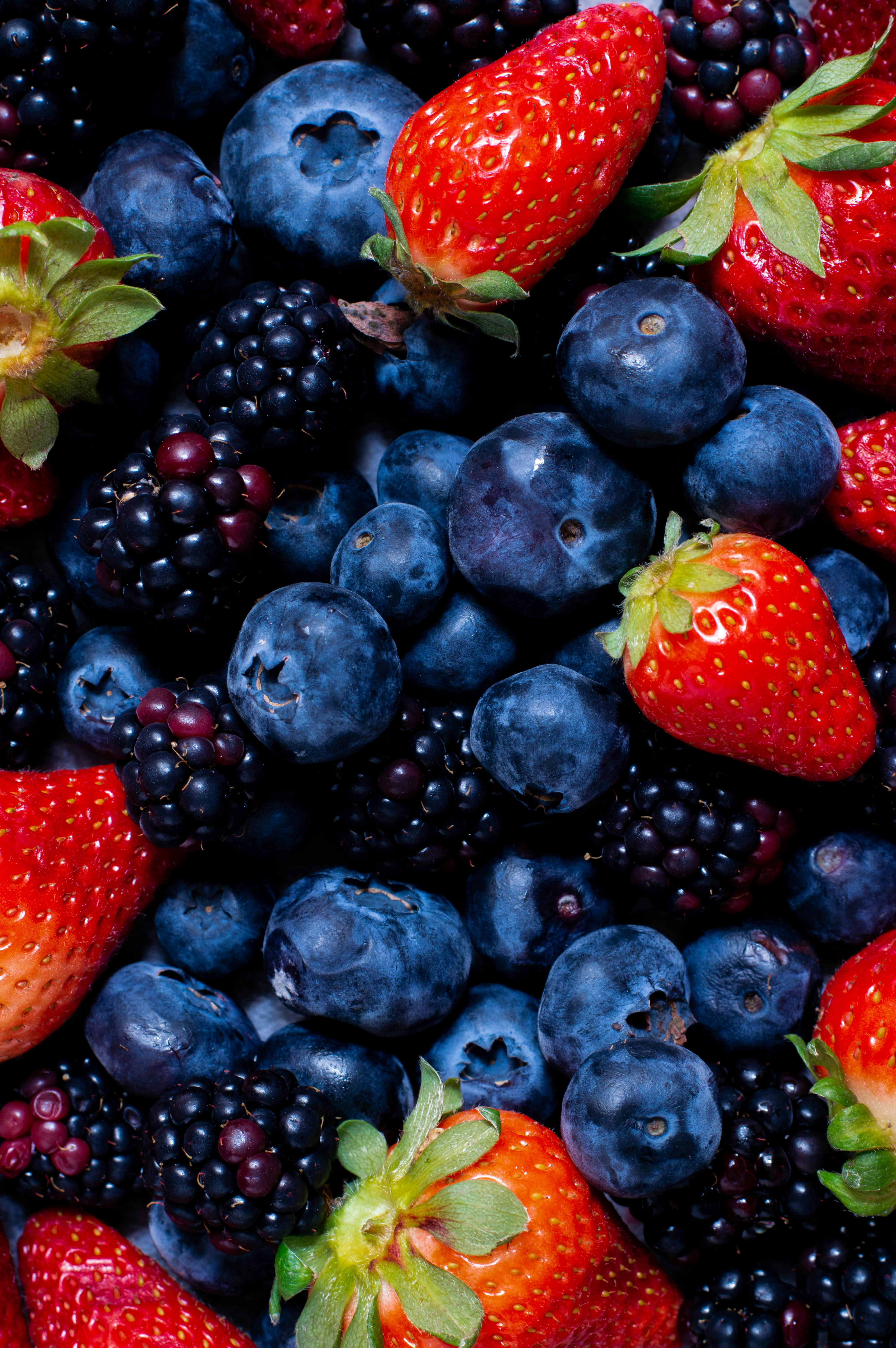 Close-up Shot of Berries · Free Stock Photo