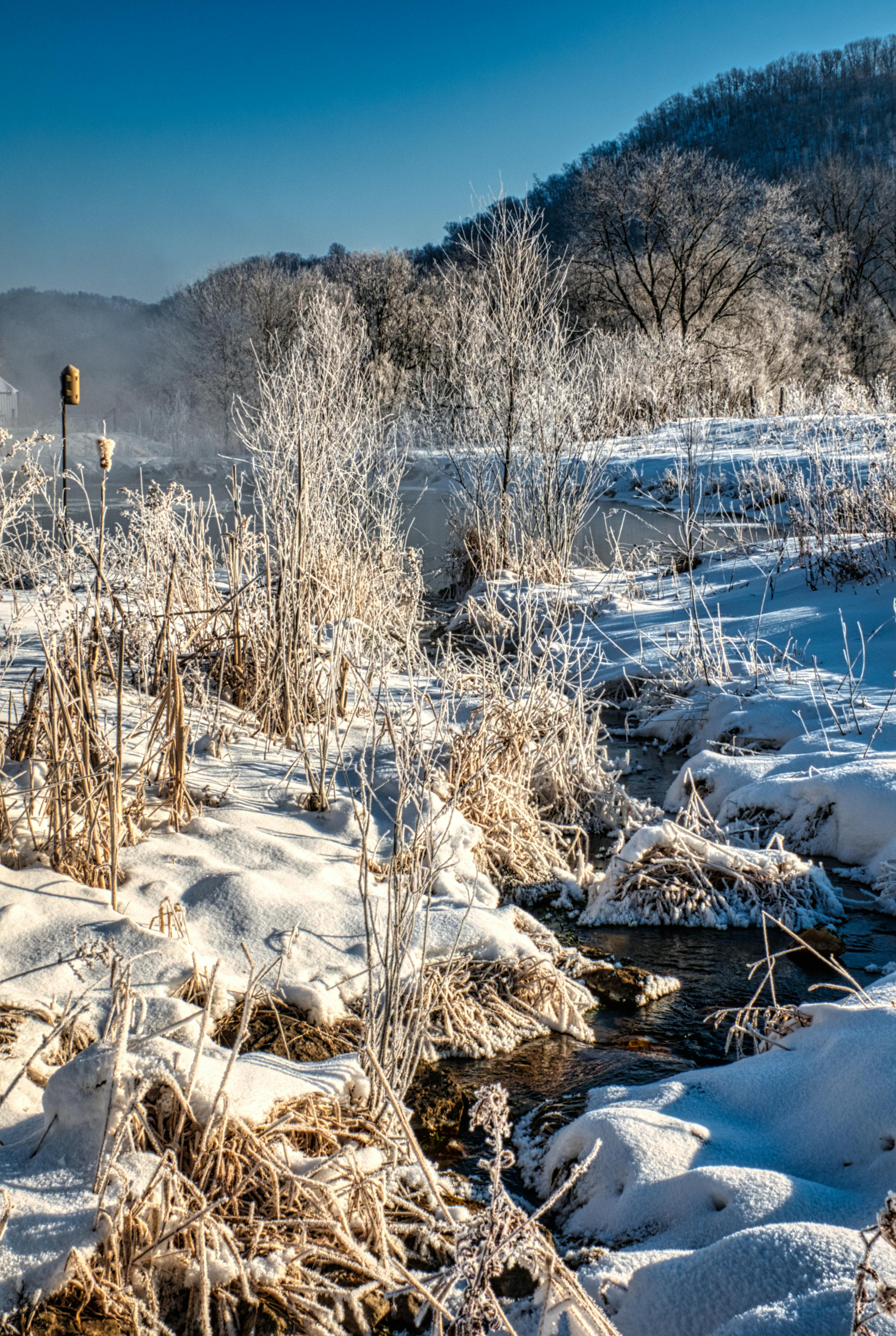 Snow Covered Ground Field · Free Stock Photo