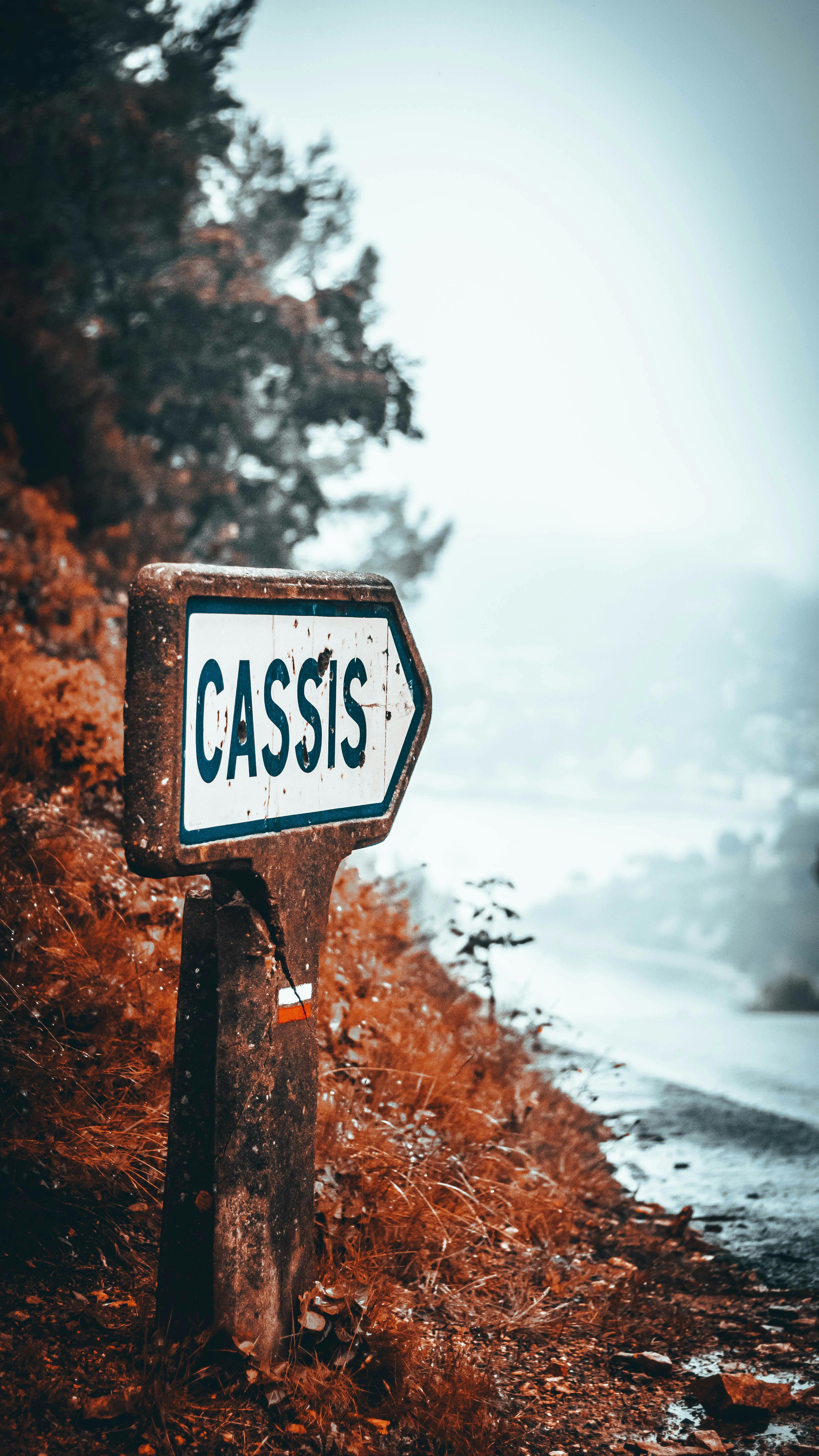 Broken Street Signage on a Foggy Road · Free Stock Photo