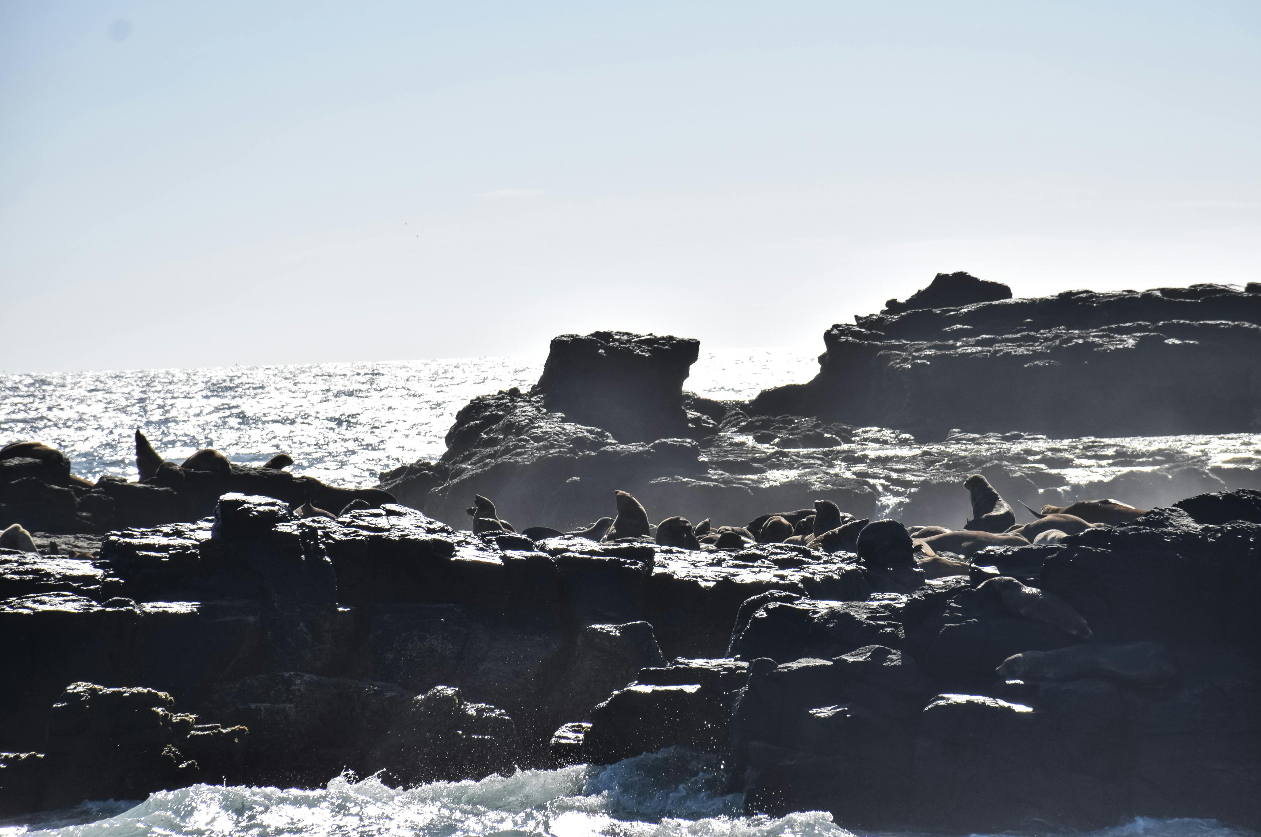 Dee Tandel - Photographie