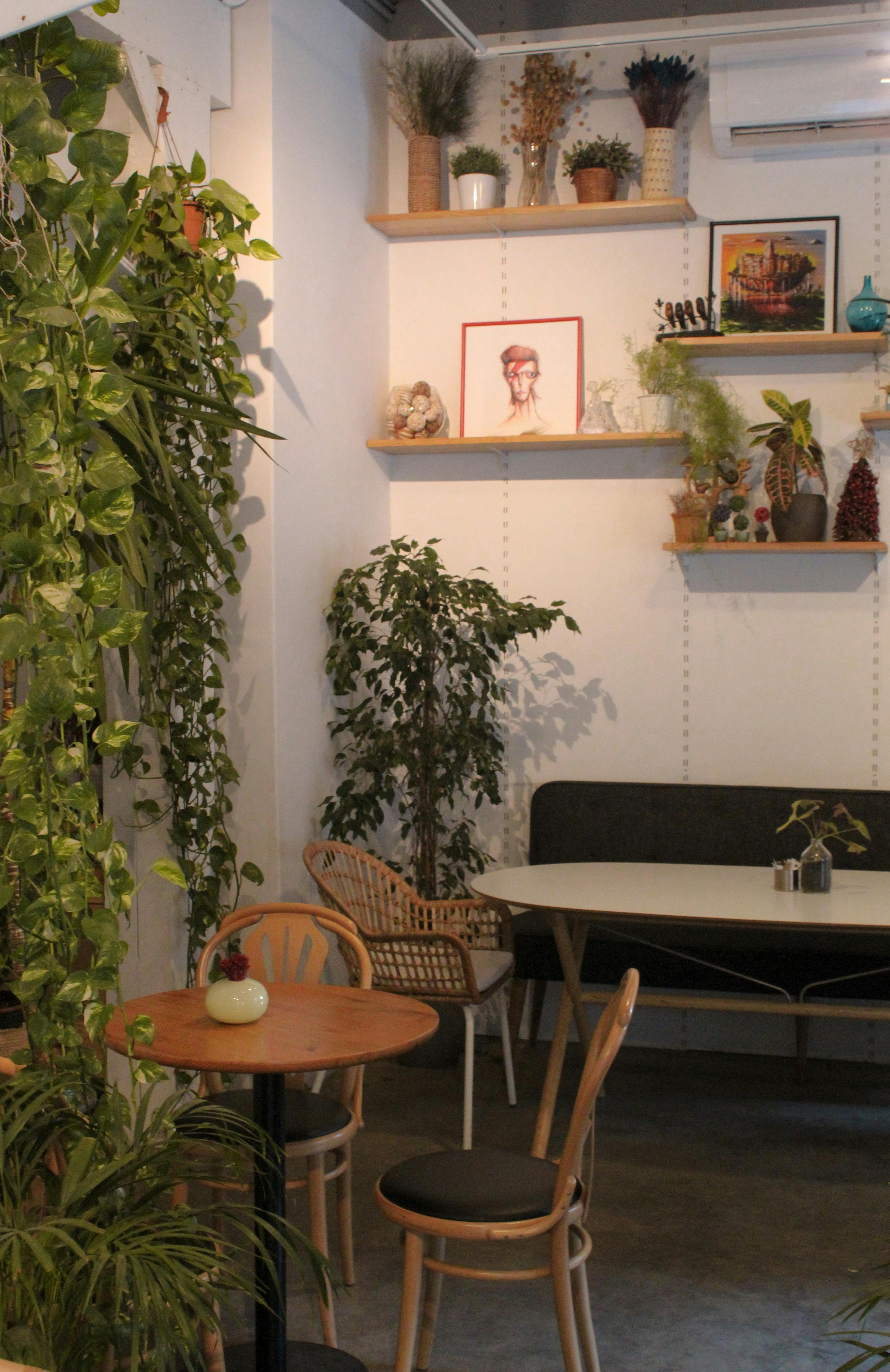 Cafe Interior with Indoor Plants · Free Stock Photo
