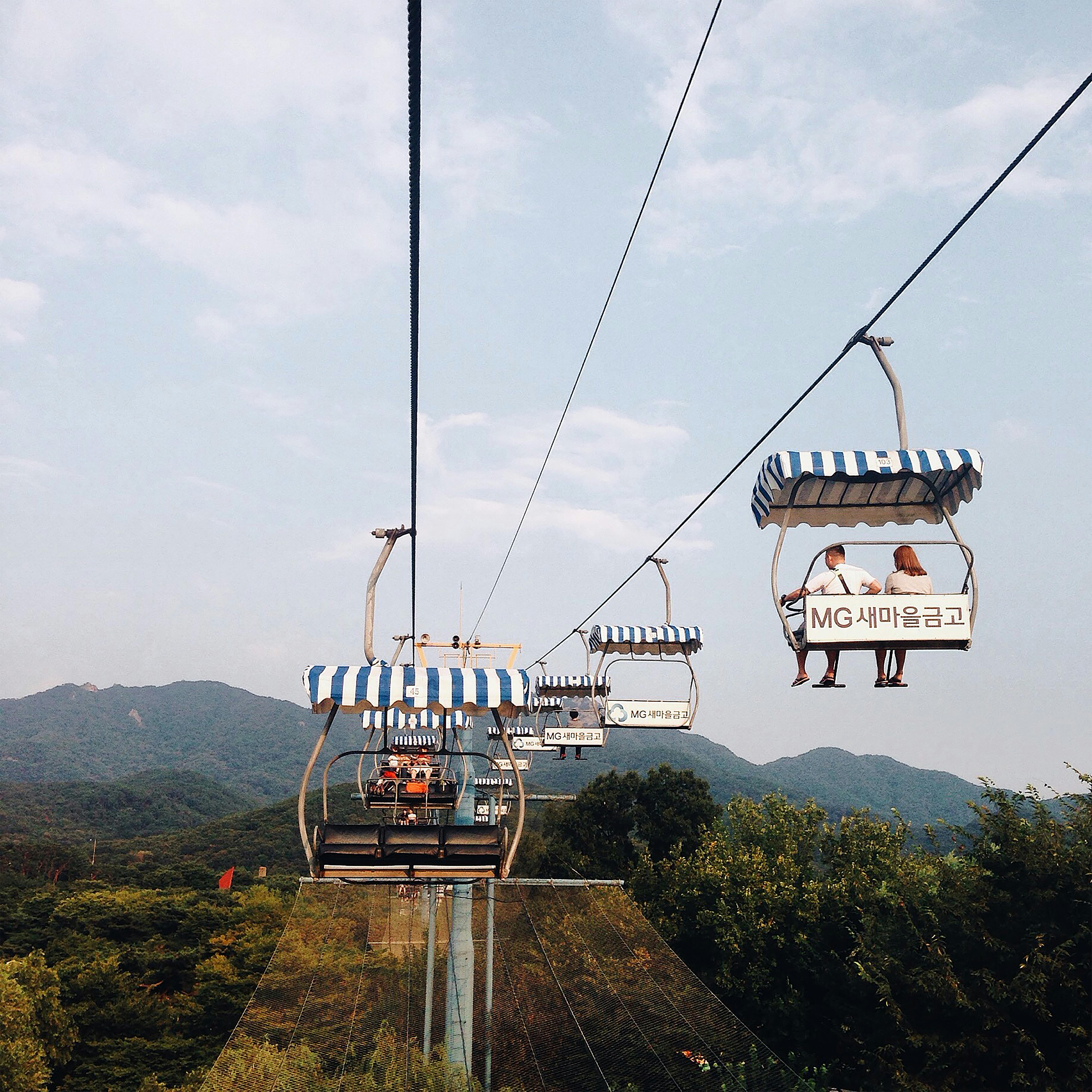 White Cable Car over Green Trees · Free Stock Photo