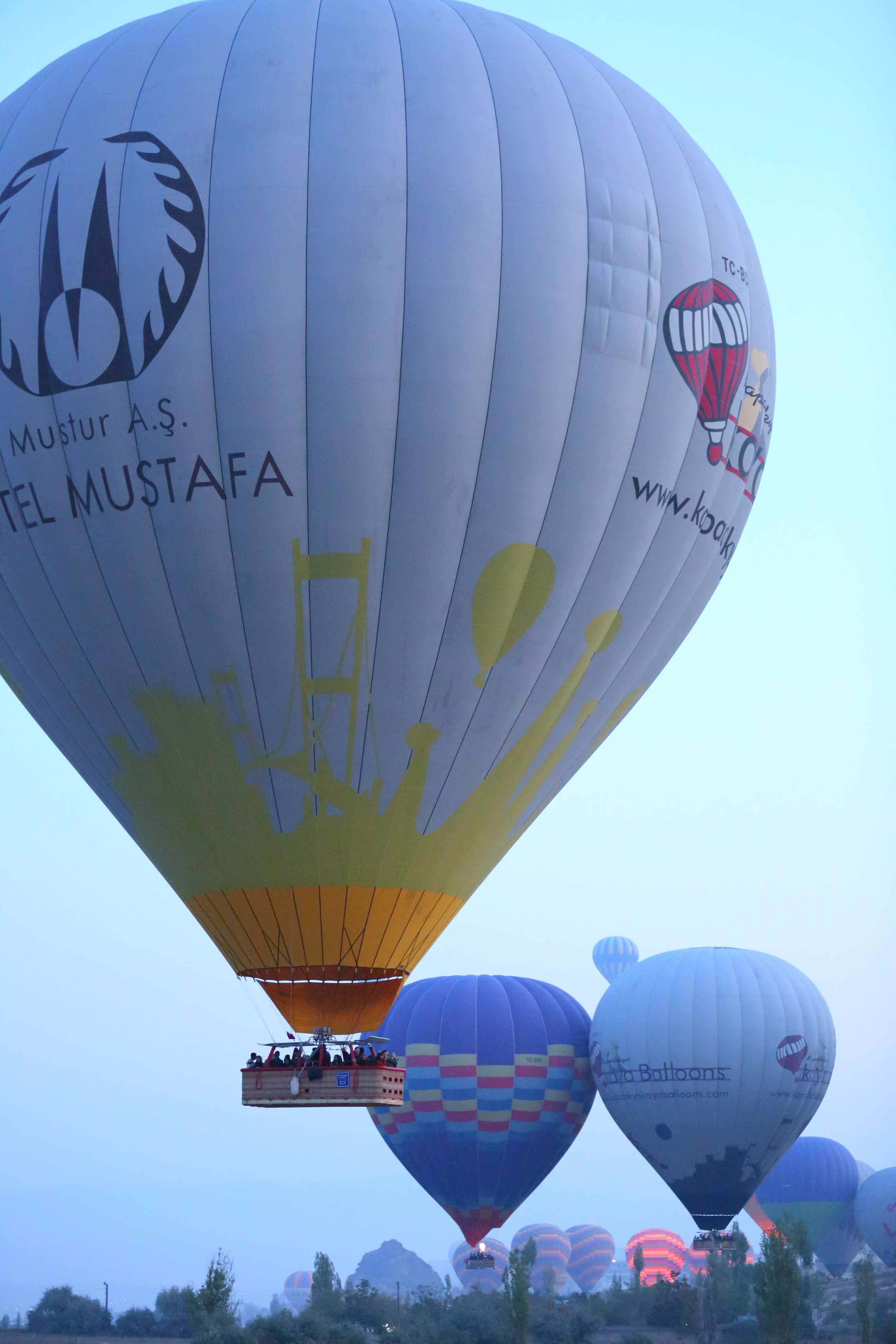 Photo of a Hot Air Balloon Flying · Free Stock Photo