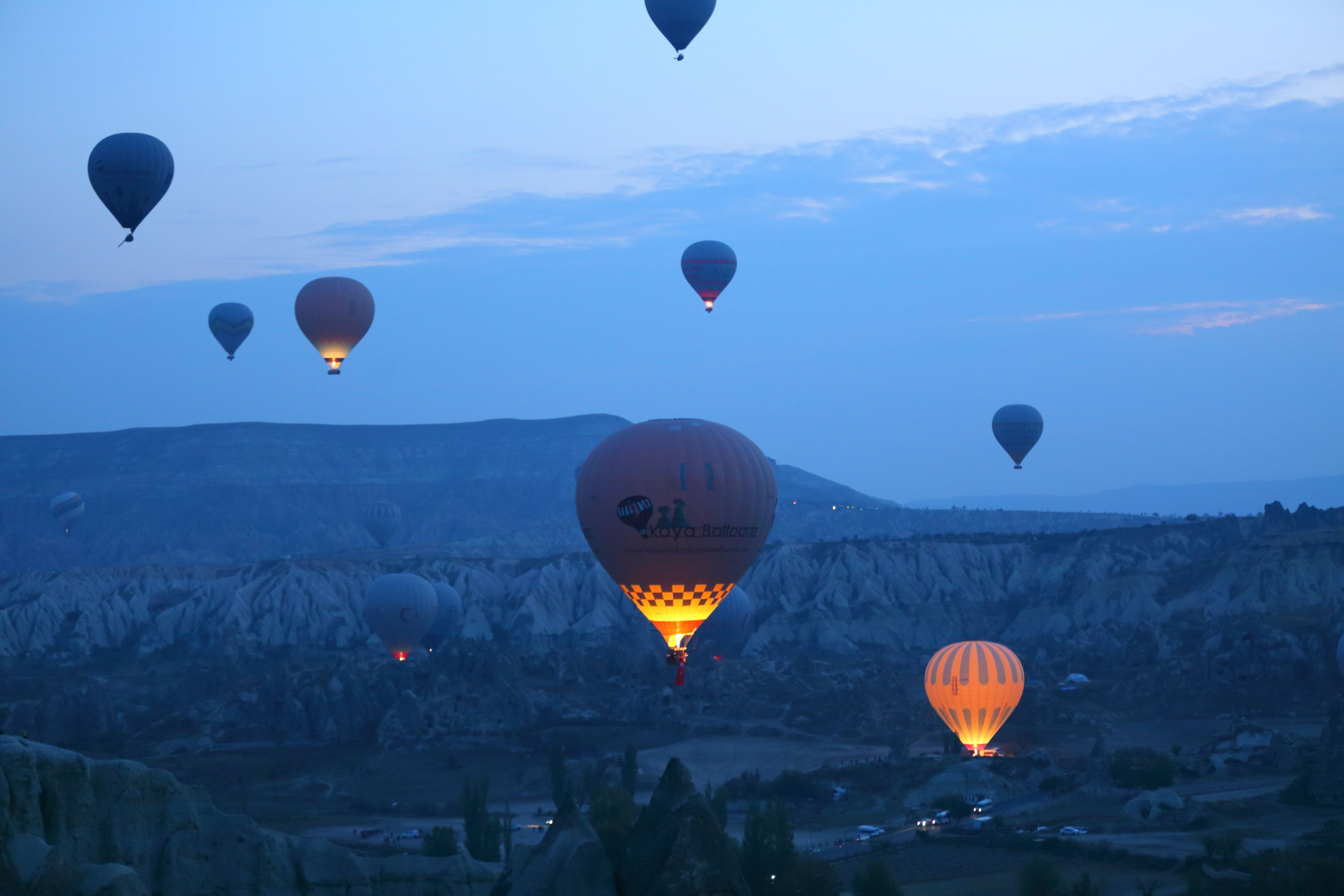 Photo of a Hot Air Balloon Flying · Free Stock Photo