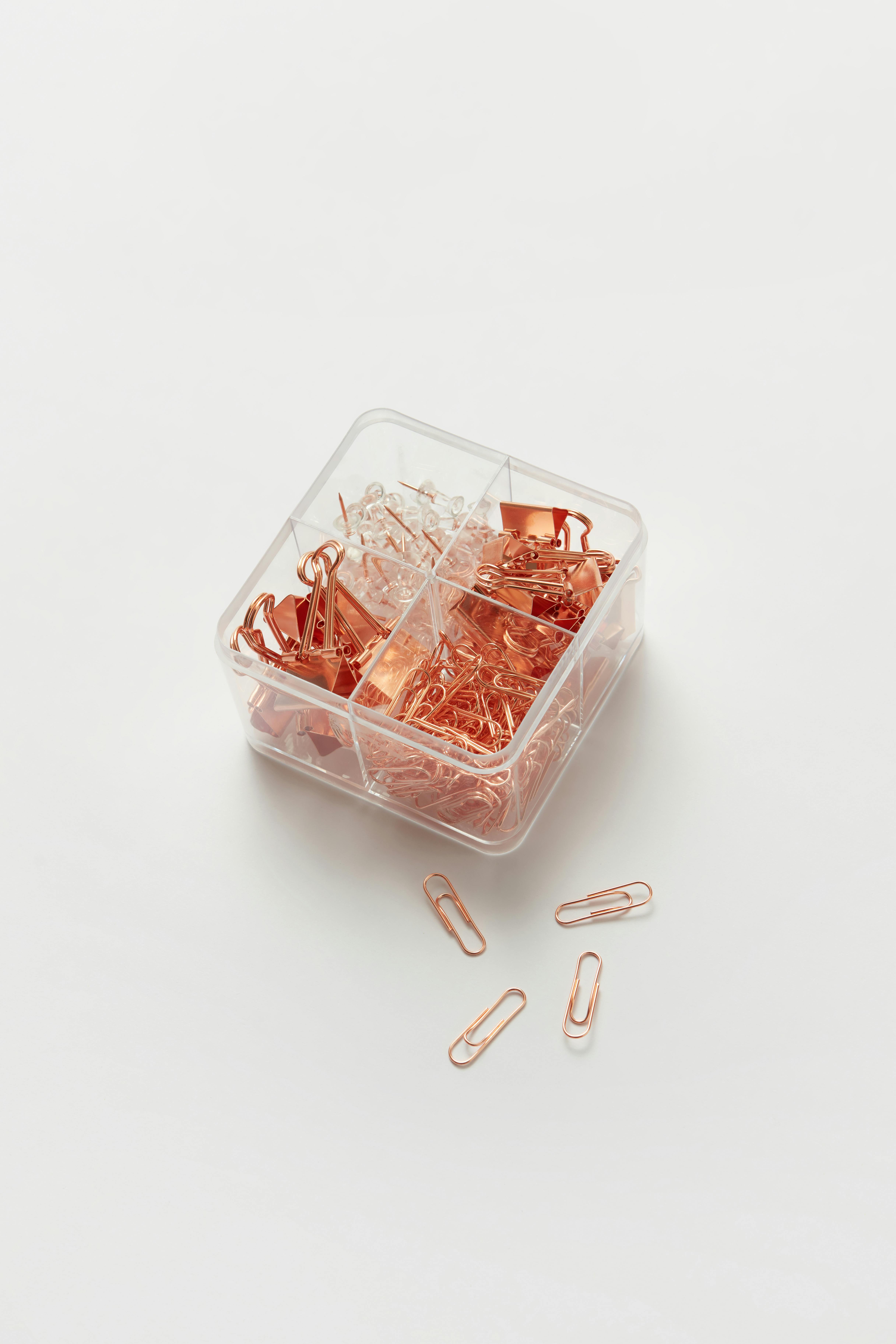 Paper Pins and Clips in a Plastic Box · Free Stock Photo
