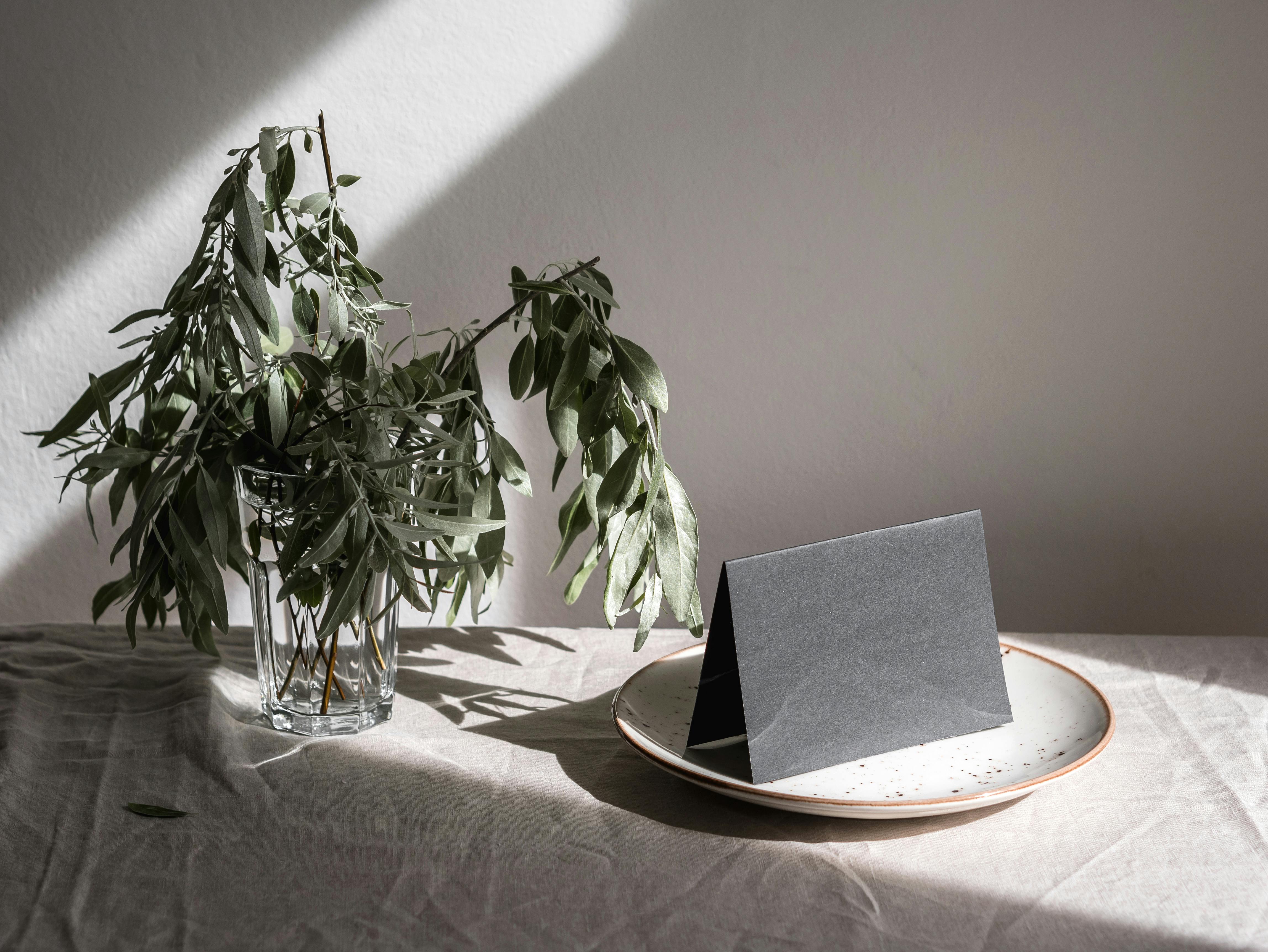 Shade Card Design Photos, Download The BEST Free Shade Card Design ...