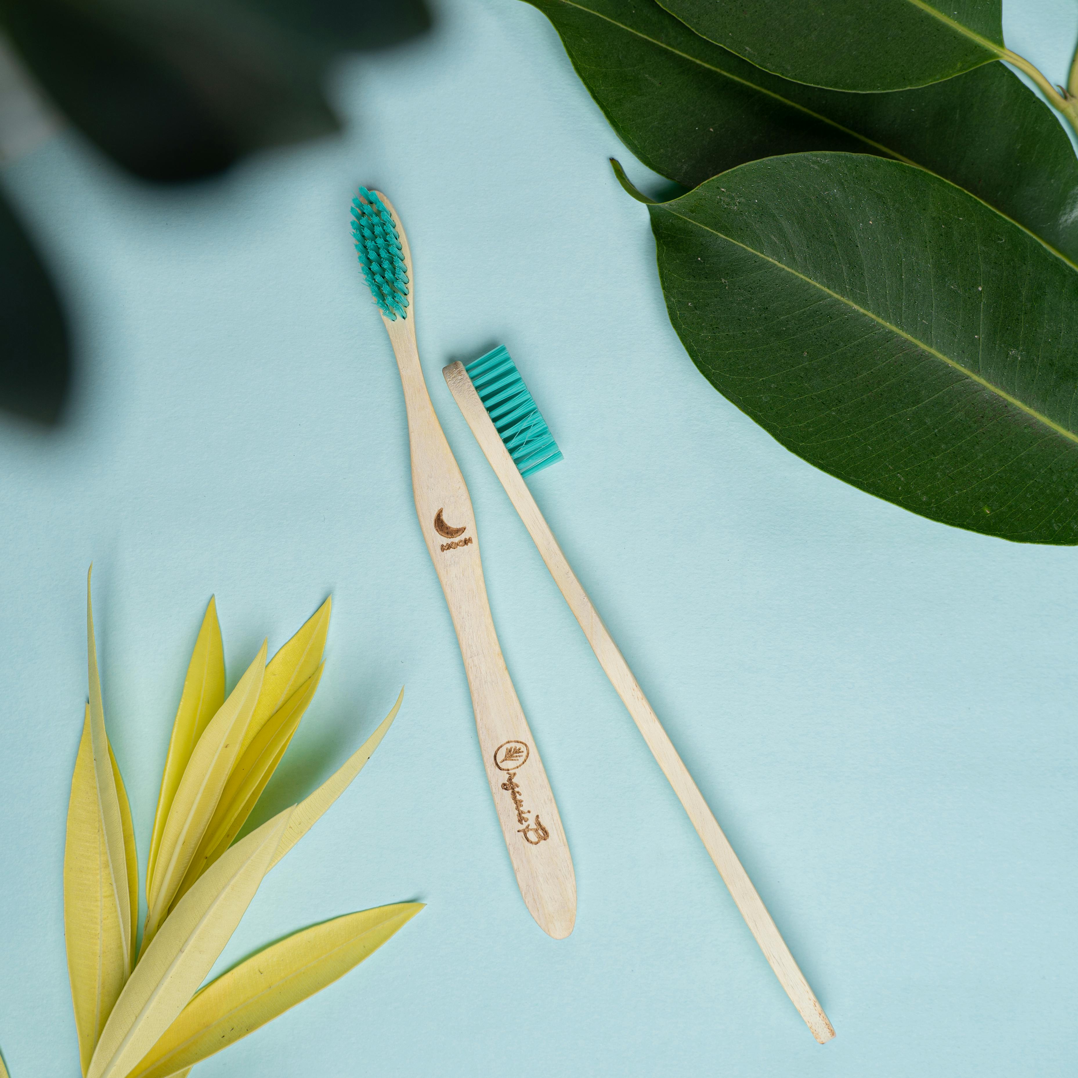 Toothpaste on a Bamboo Toothbrush · Free Stock Photo