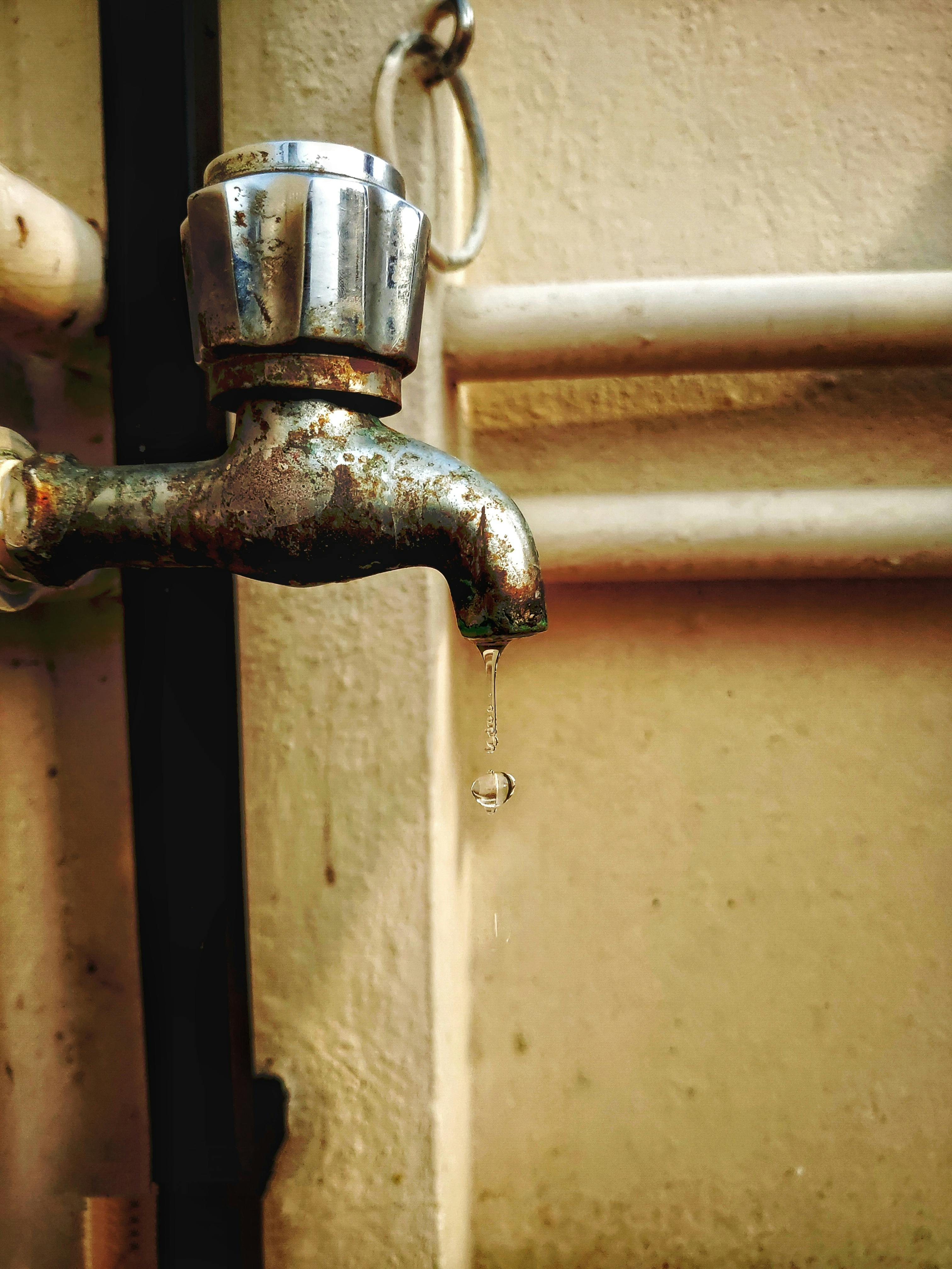 Gokul Rao - Fotografía