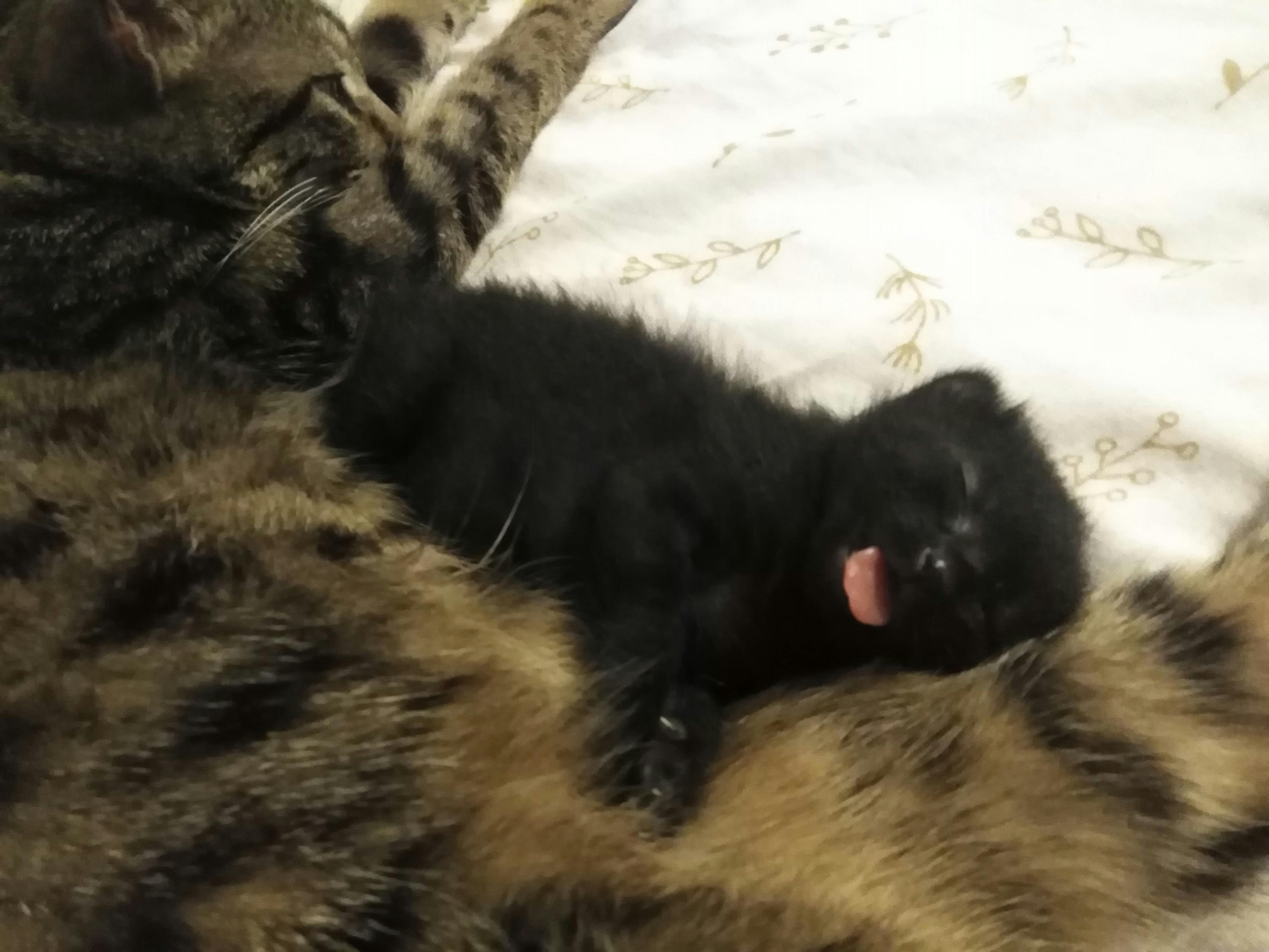 Zeynep Aytekin - Photography