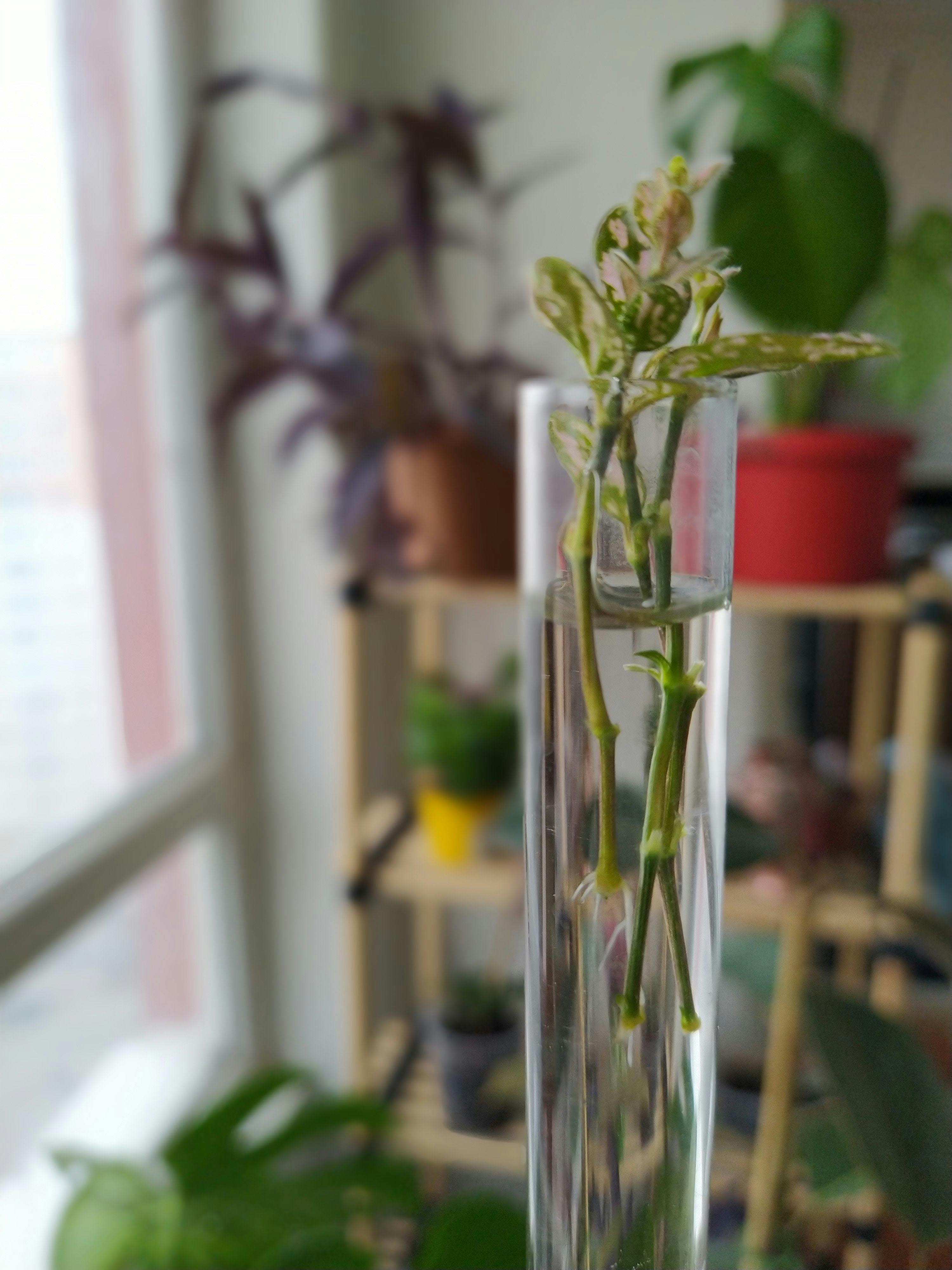 Zeynep Aytekin - 摄影