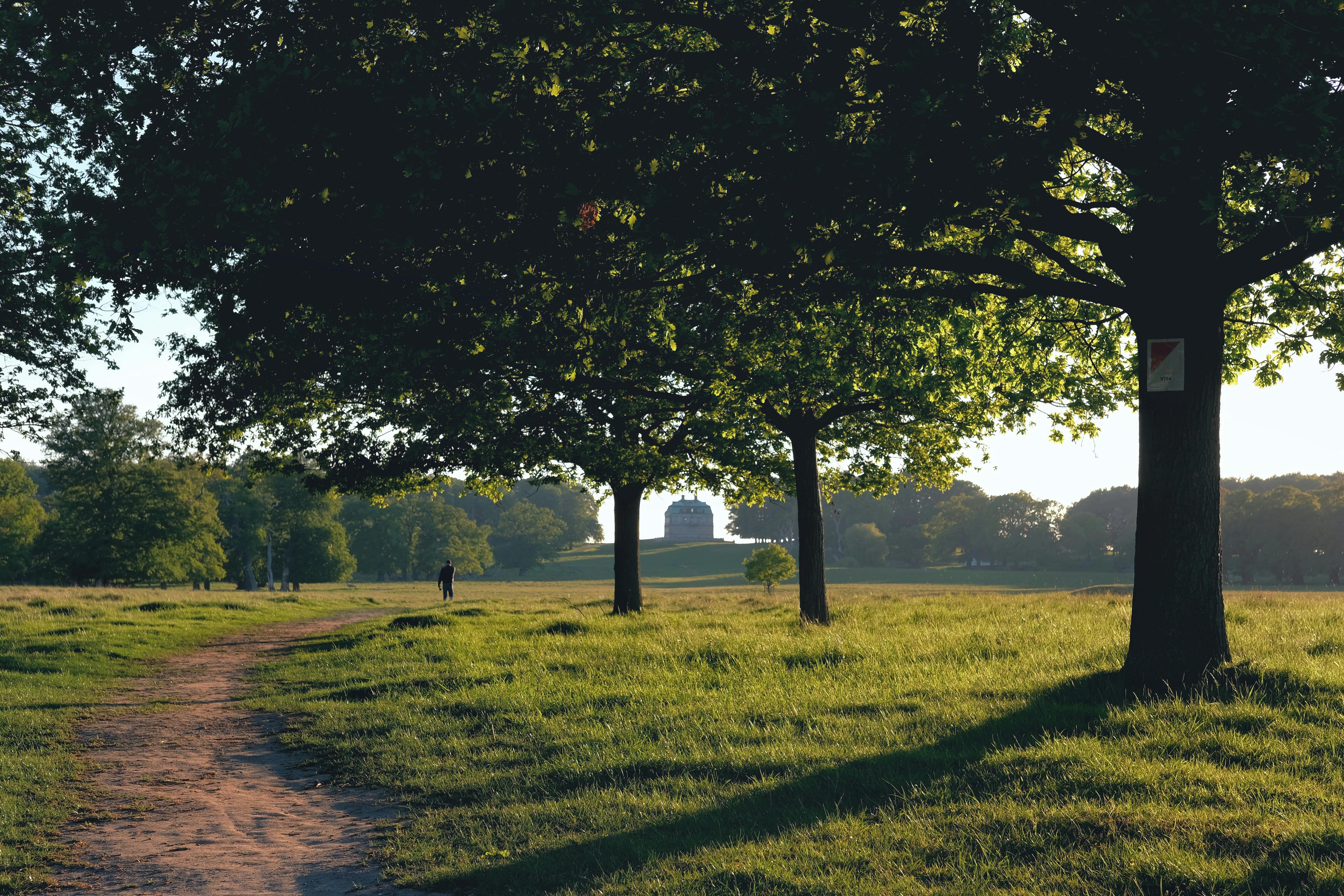 Green Grass · Free Stock Photo