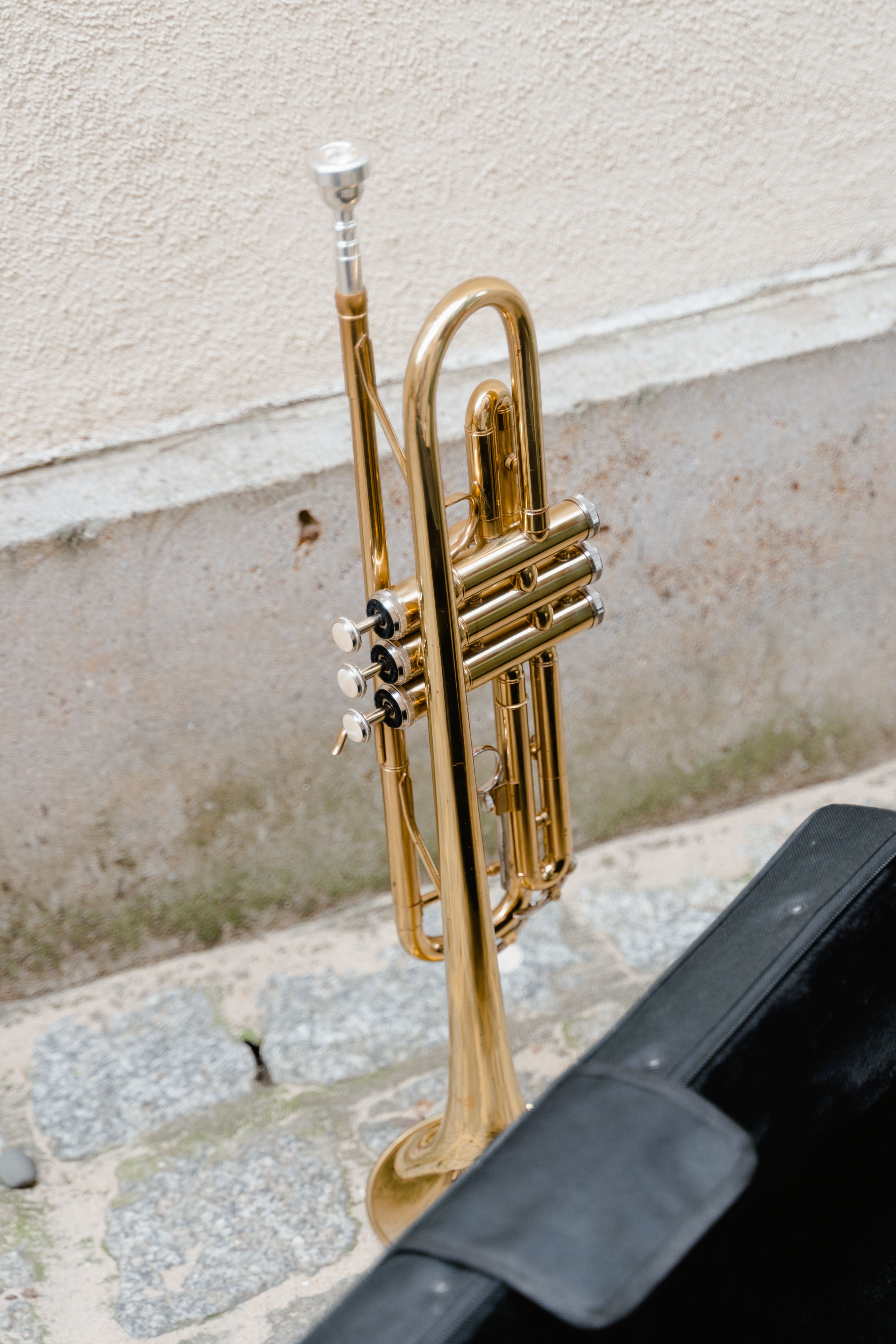 Man Holding Trumpet · Free Stock Photo