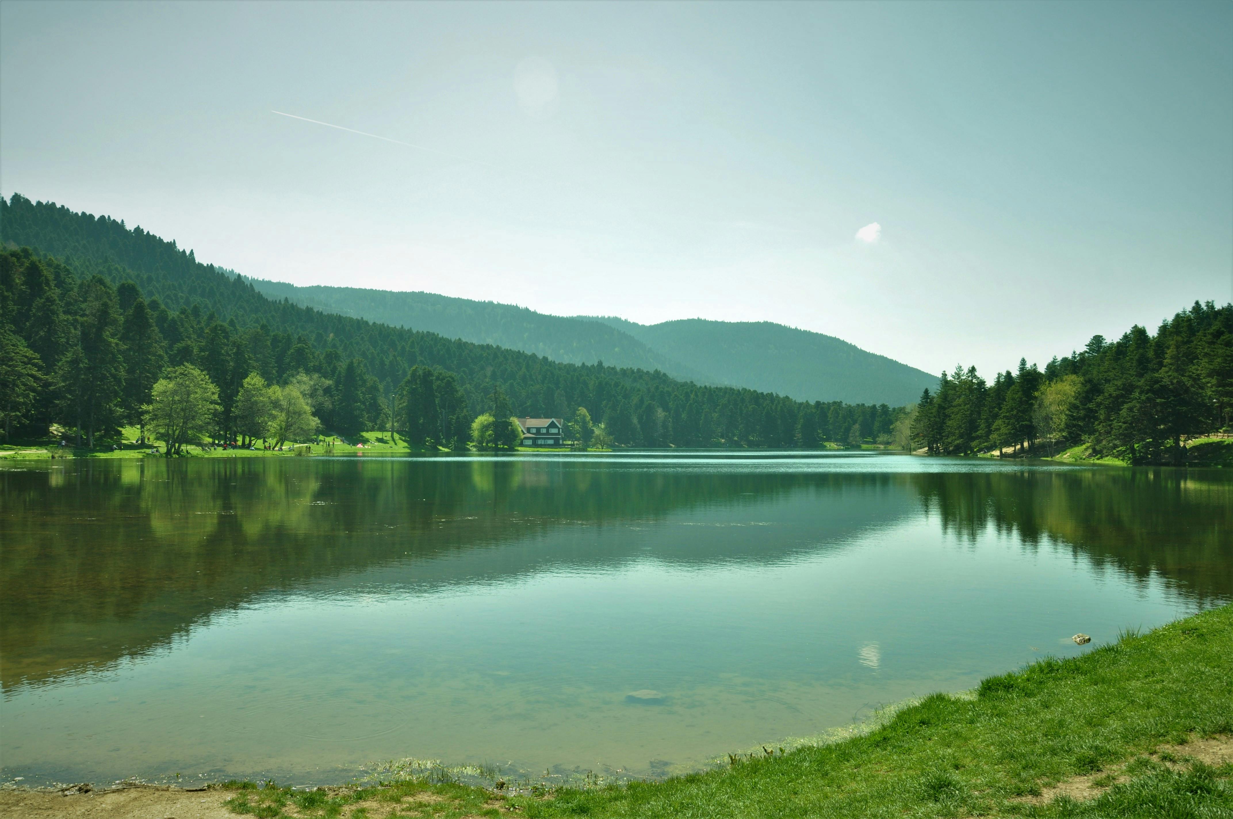Photo of Tranquil Lake Surrounded by Trees · Free Stock Photo