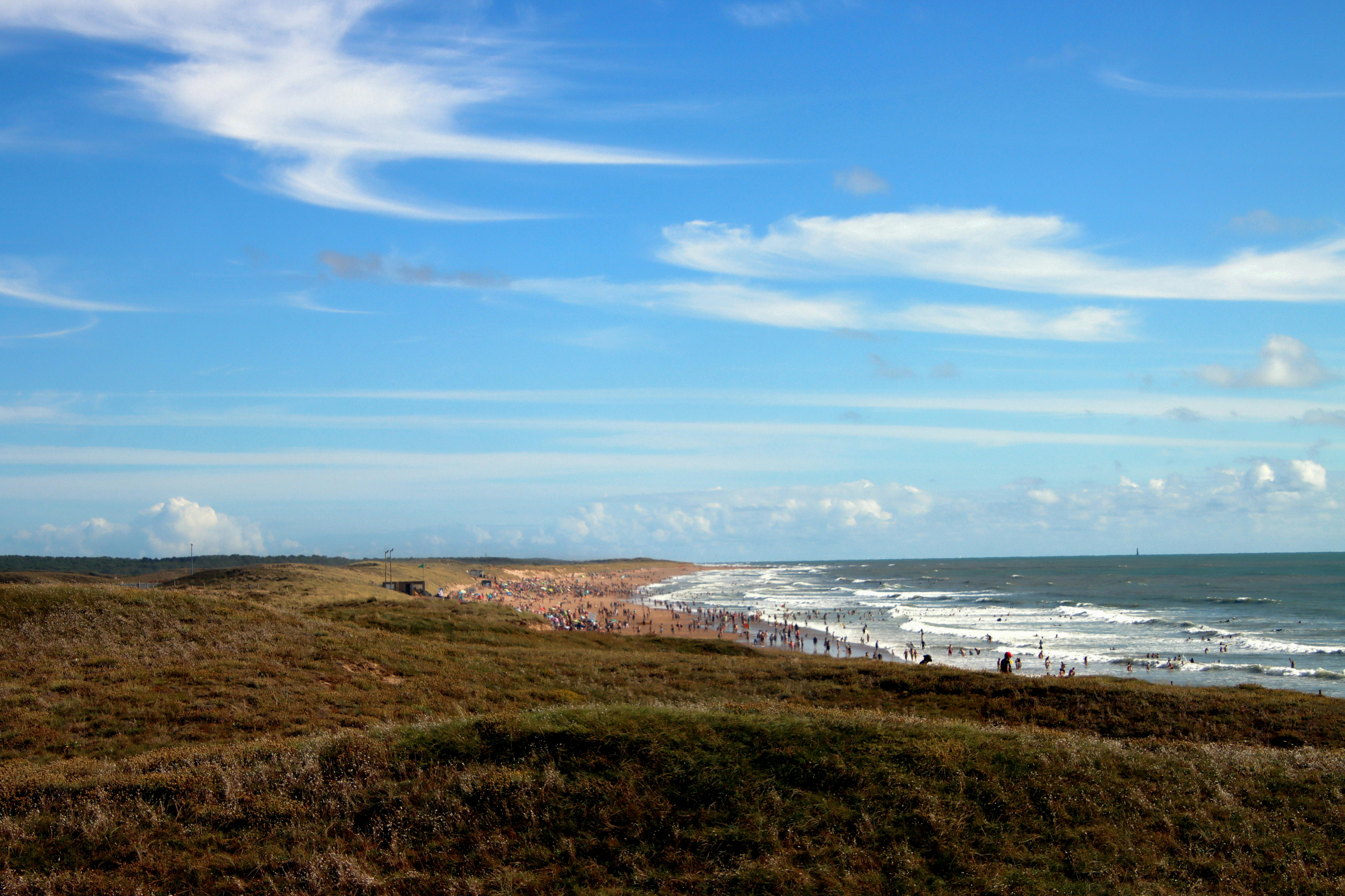 Flat Seashore Landscape · Free Stock Photo