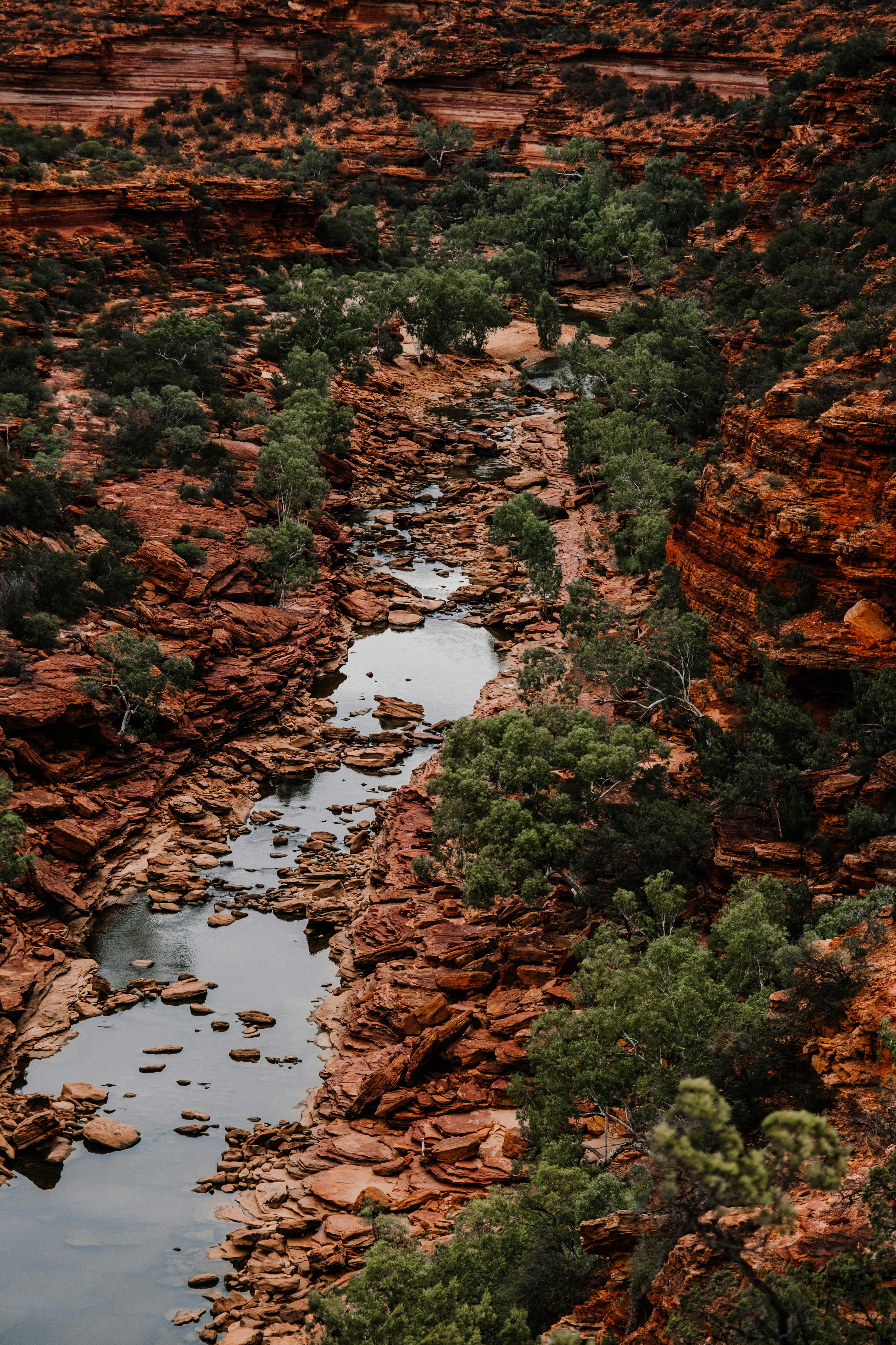 High Angle View of Water in the Valley of a Canyon · Free Stock Photo