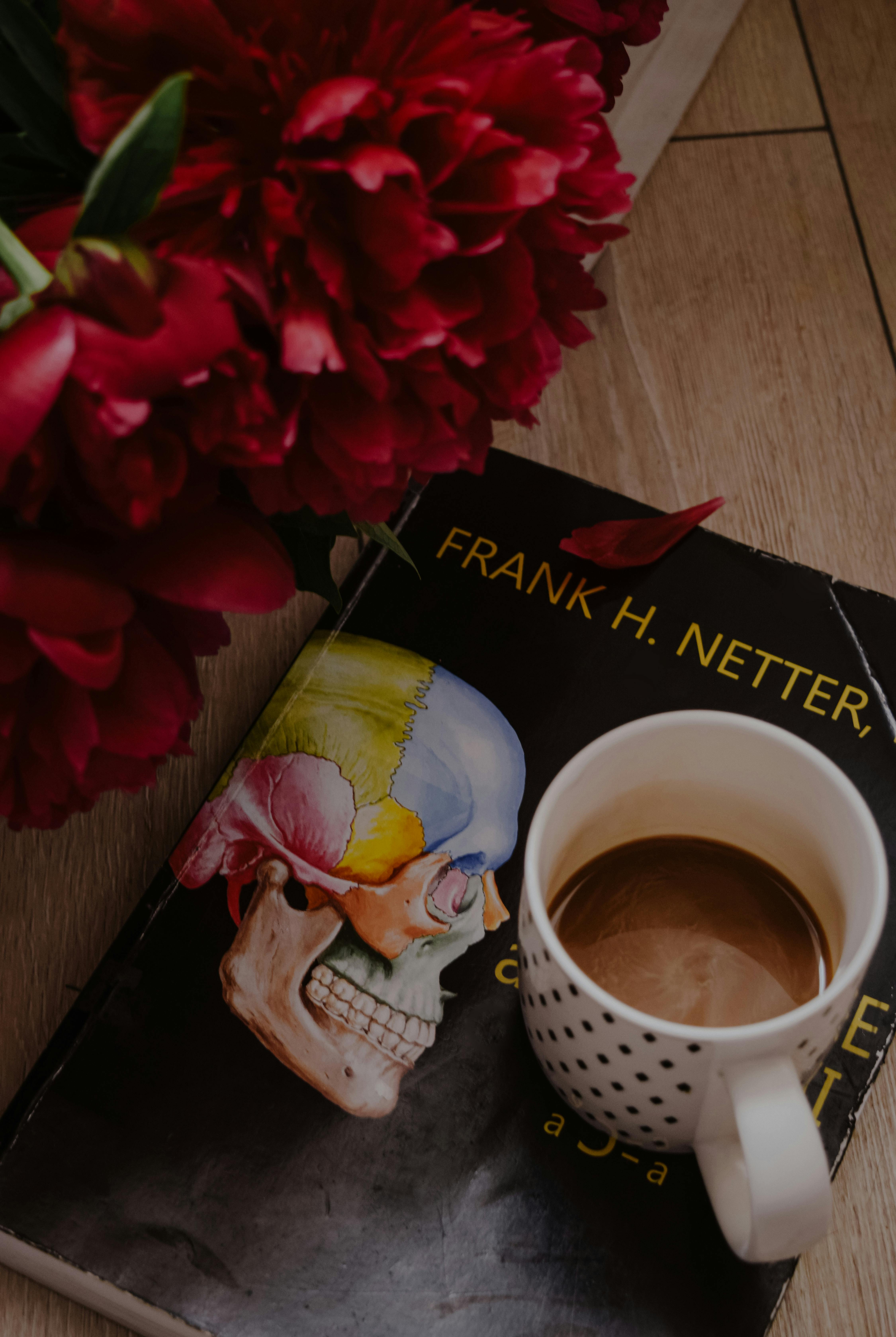 Netter Strandwachter Photos, Download The BEST Free Netter ...