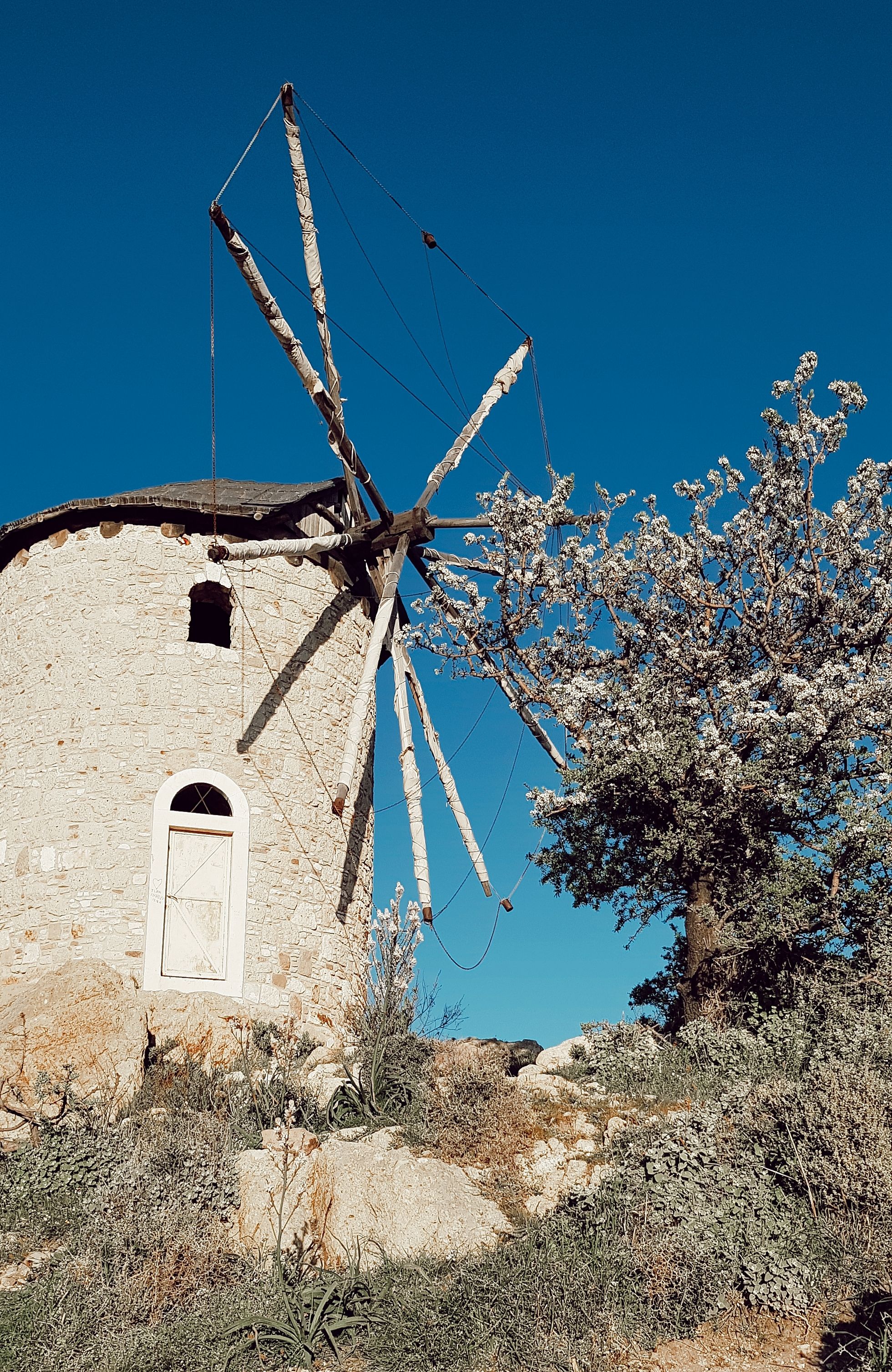 Windmill City Photos, Download The BEST Free Windmill City Stock Photos ...