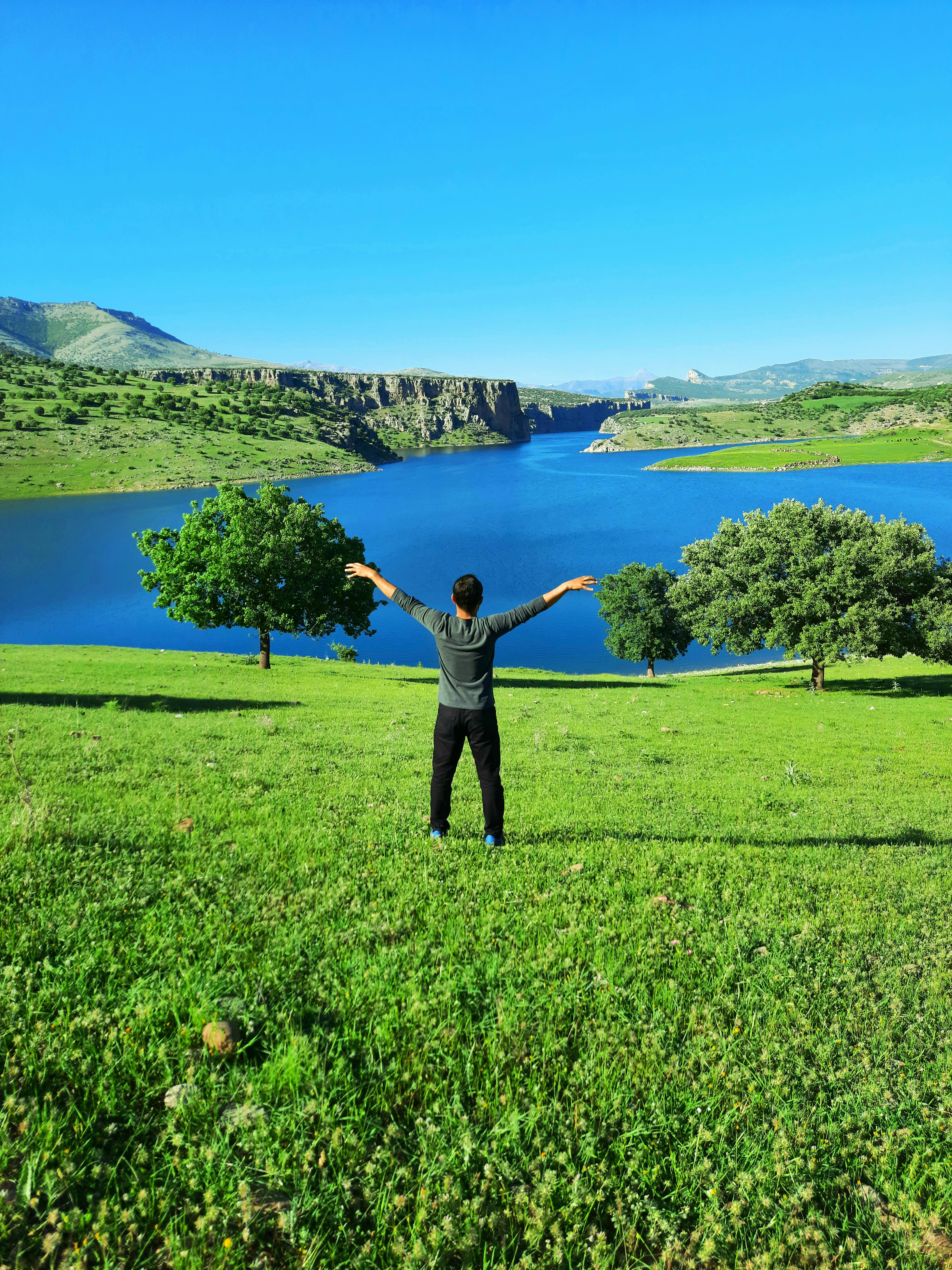 Back View of Person with Arms Open Wide · Free Stock Photo