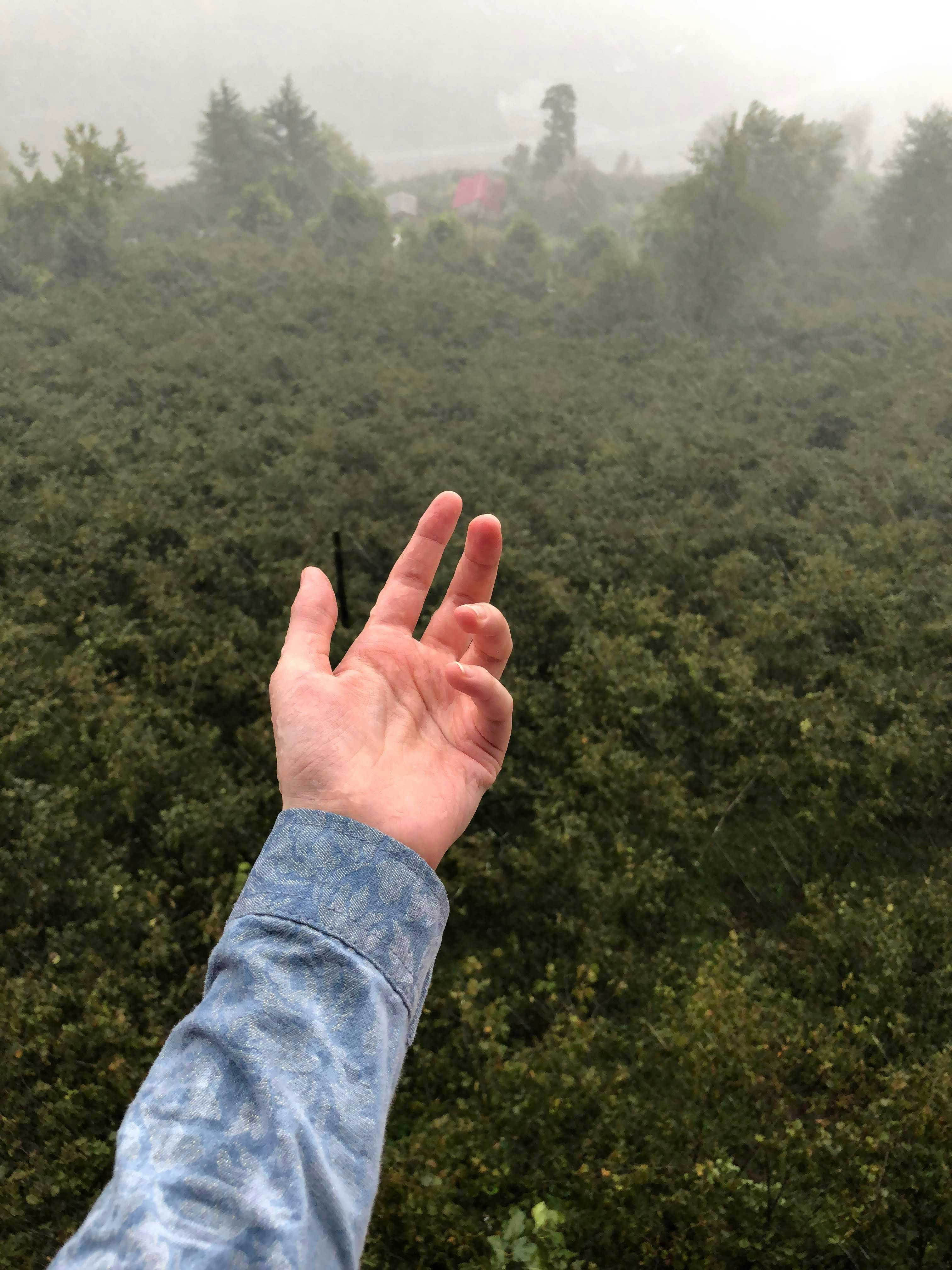 Shallow Focus Photo Of Person's Left Hand · Free Stock Photo