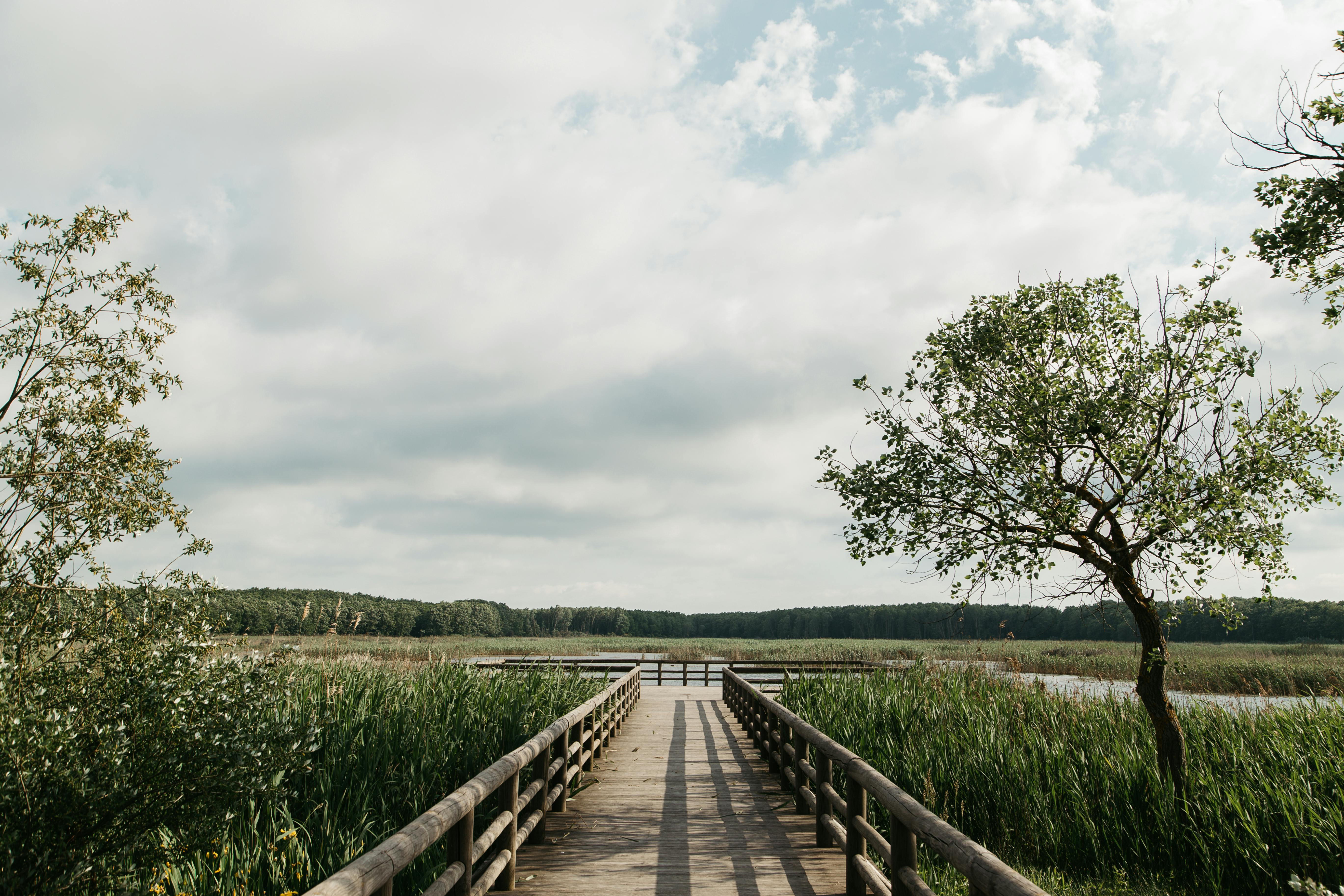 Pond Dock Background Photos, Download The BEST Free Pond Dock ...