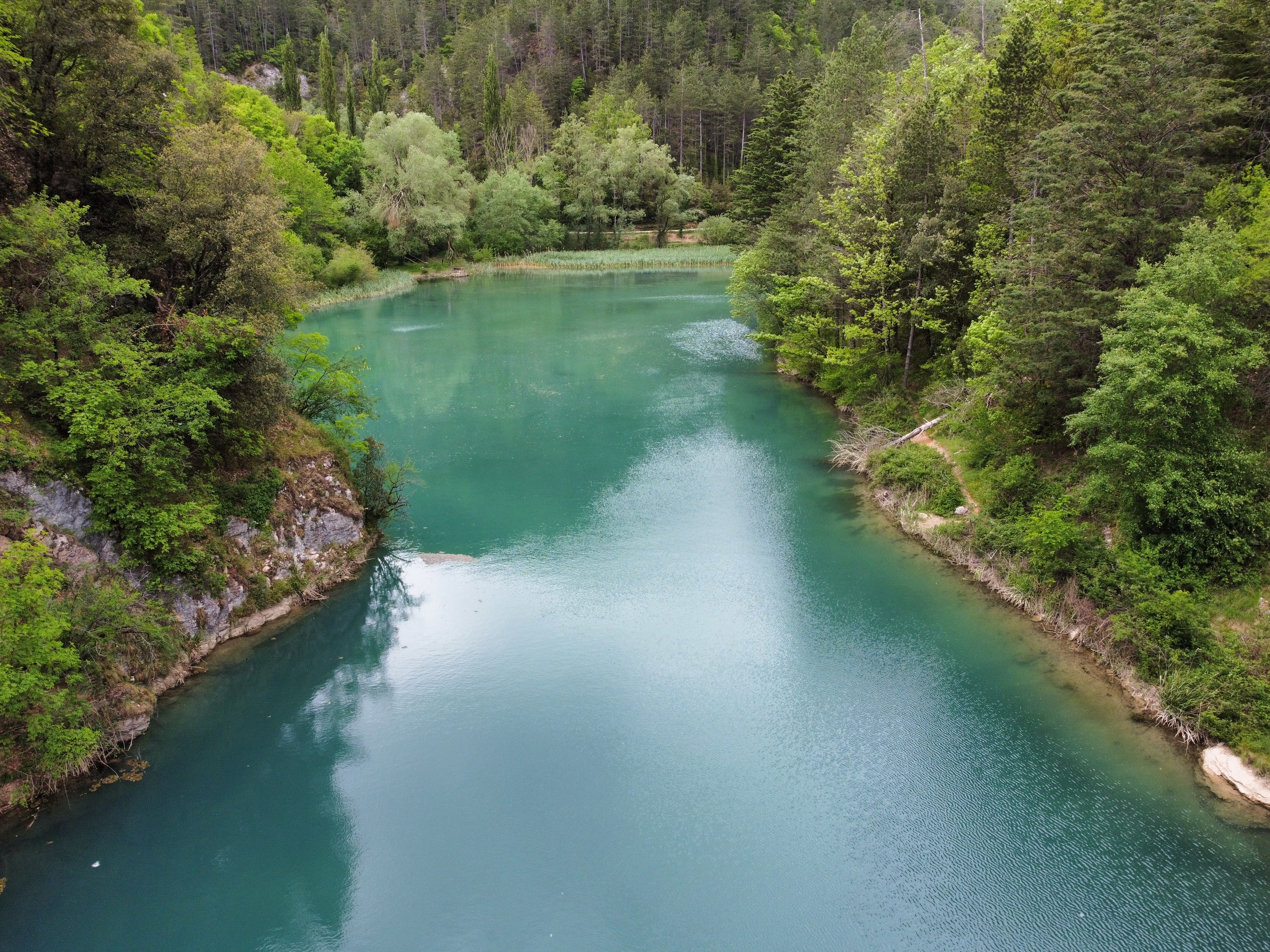 Landscape Photography of Green Trees and Body of Water · Free Stock Photo