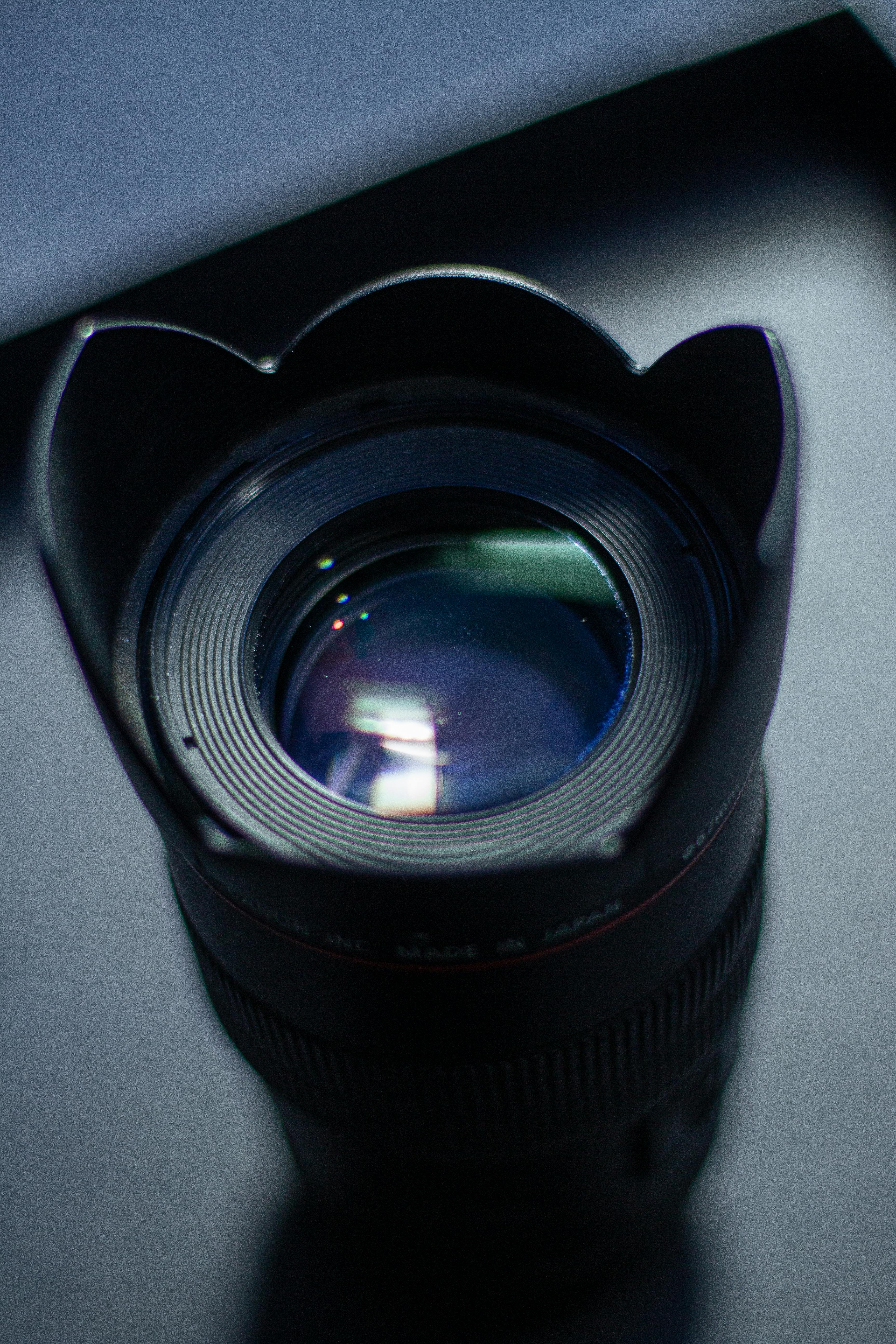 Zoon Background Photos, Download The BEST Free Zoon Background Stock ...