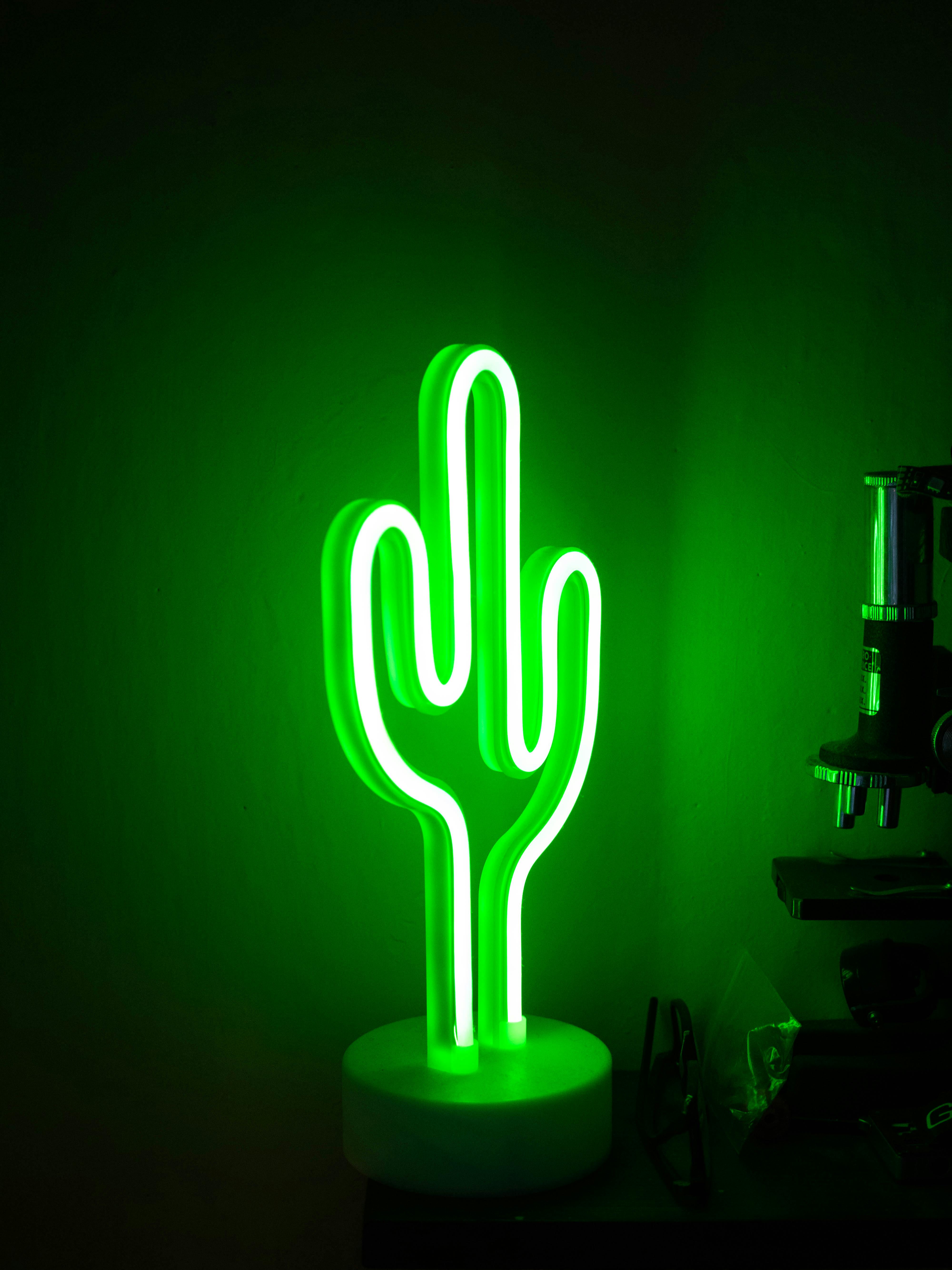 Neon Cactus Photos, Download The BEST Free Neon Cactus Stock Photos ...
