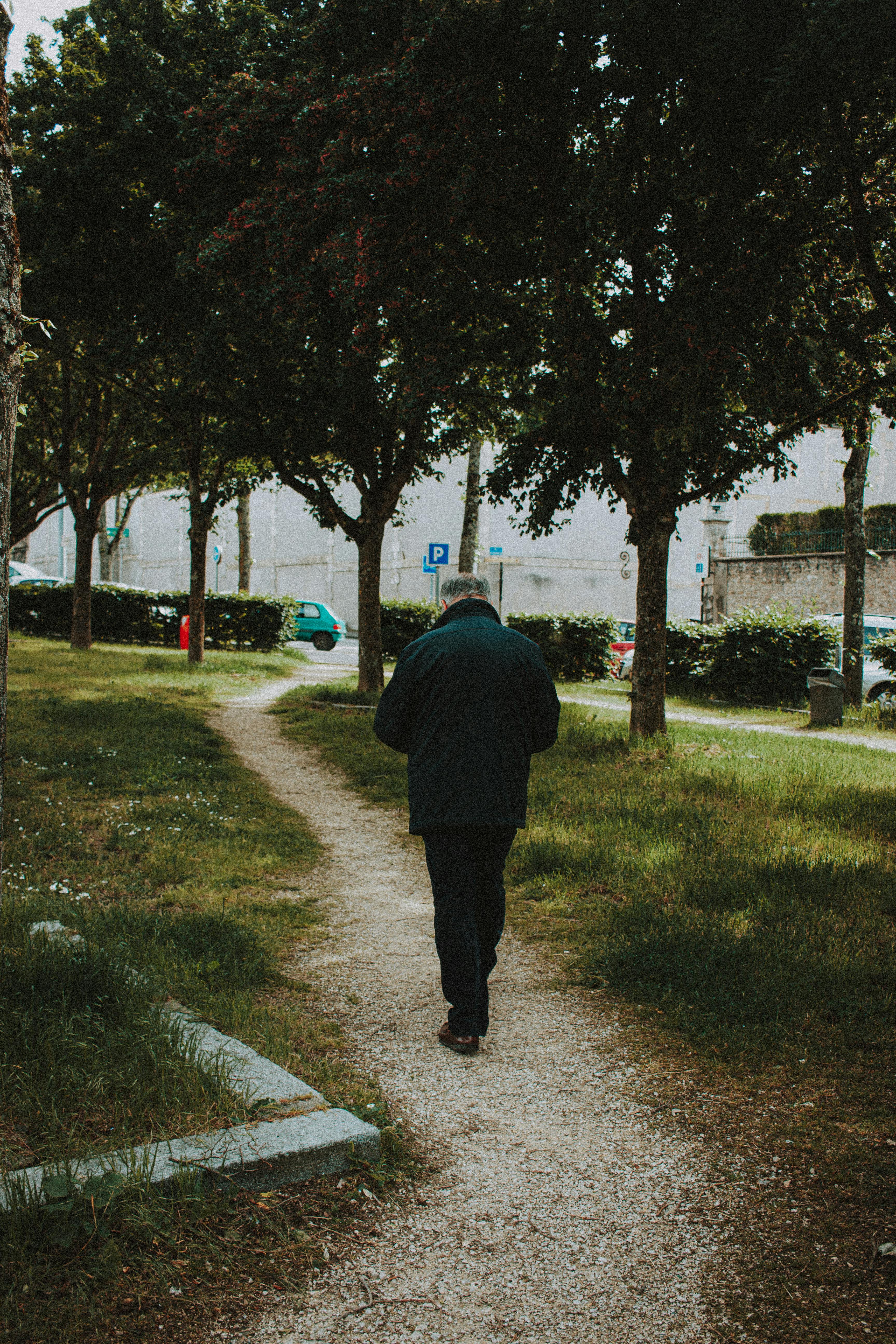 A Man Walking on the Park · Free Stock Photo