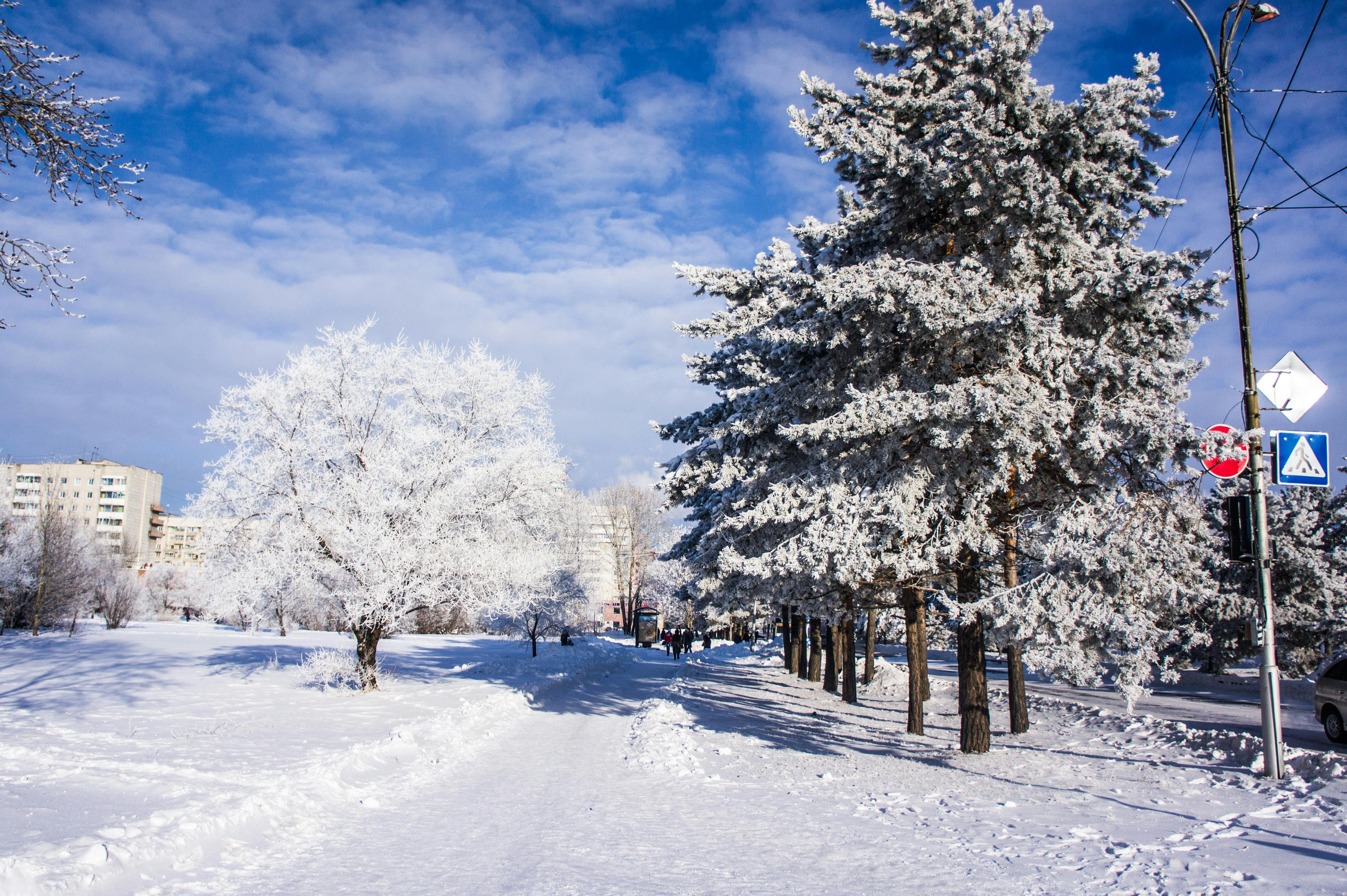 60.000+ Fotos y Imágenes de Frio Congelante Gratis · Banco de Imágenes ...