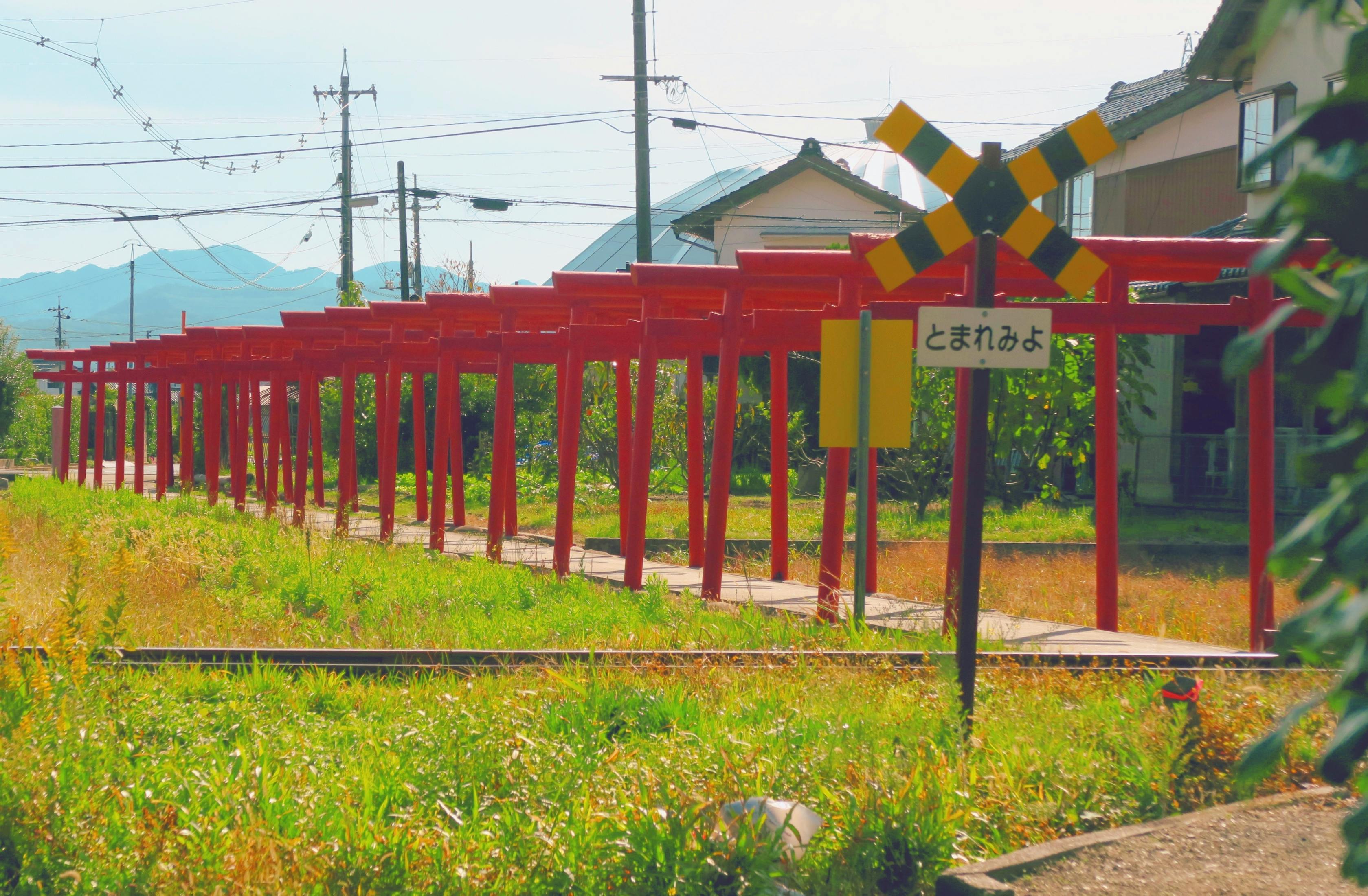 moku moku - Φωτογραφία