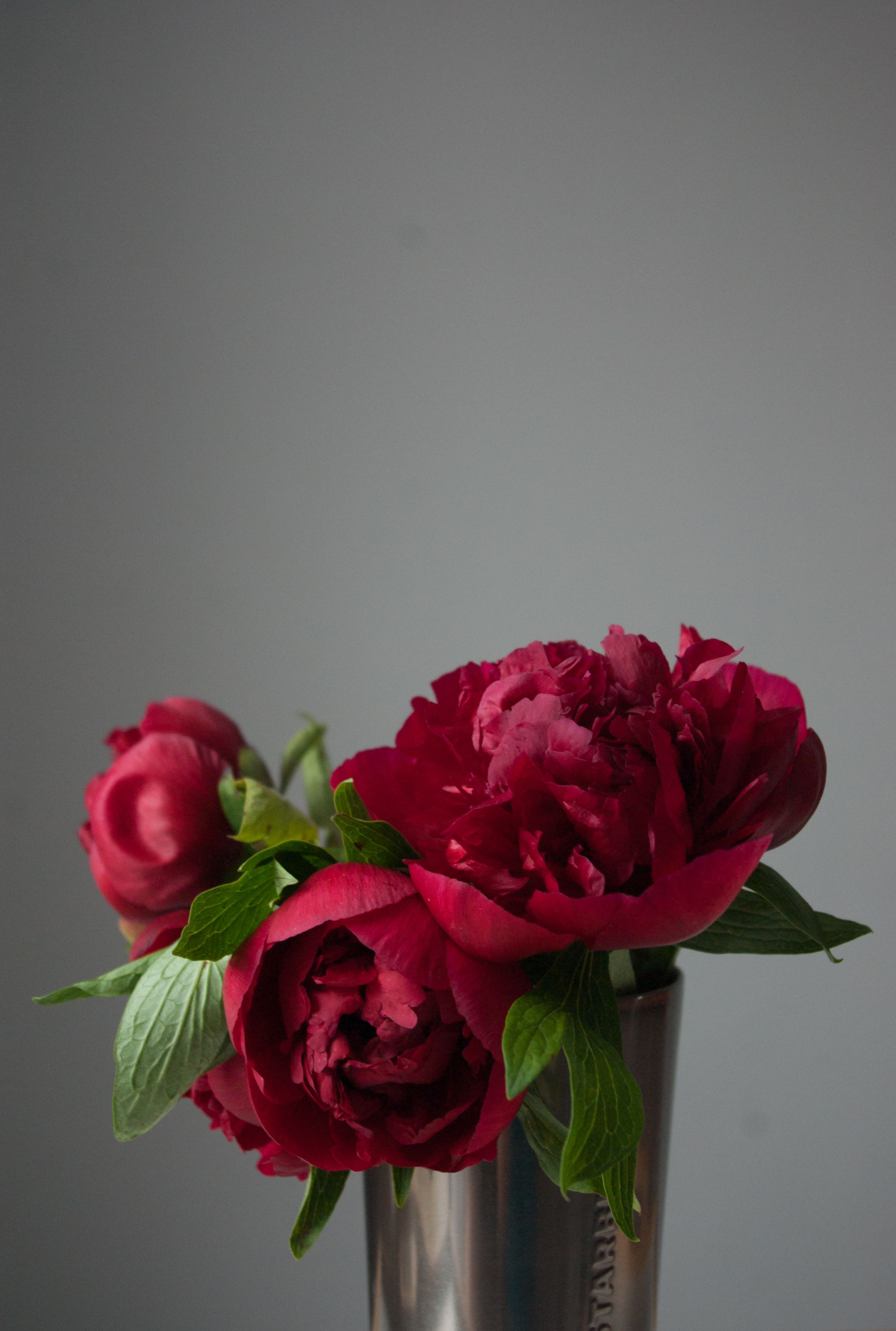 Potpourri and Flowers Decoration · Free Stock Photo