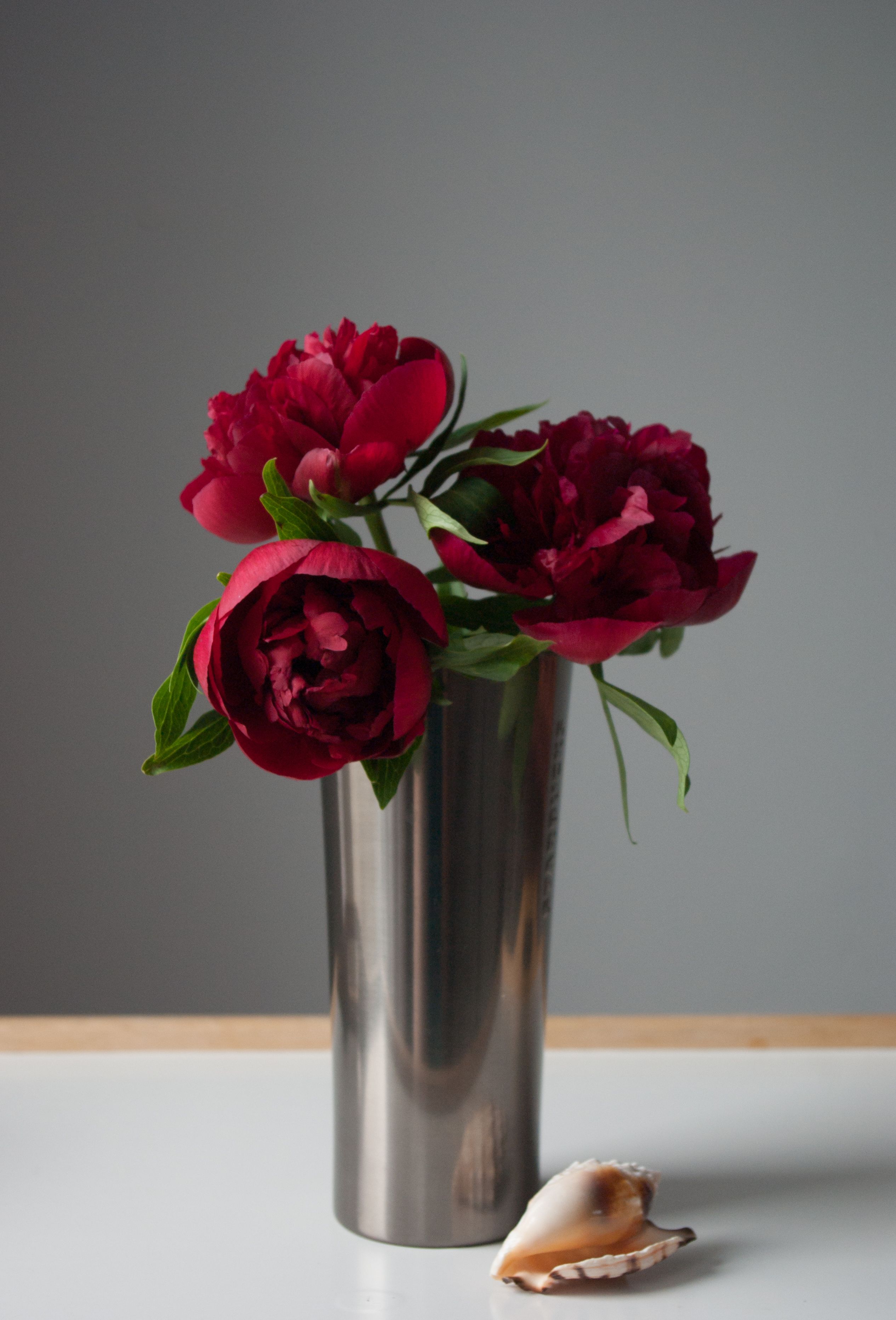 Close Up of Flowers in Vase · Free Stock Photo