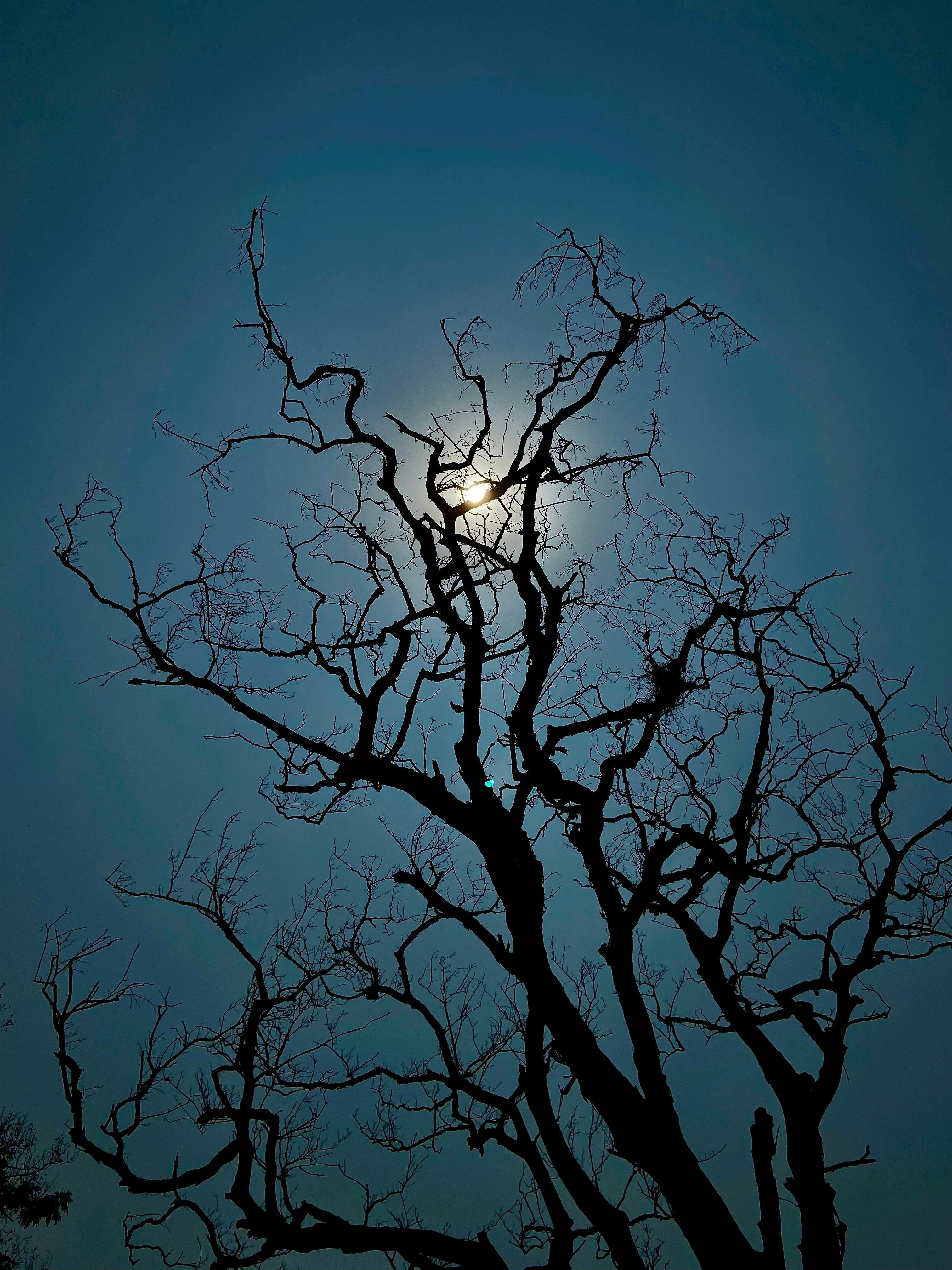 Vivek Dwivedi - Photography