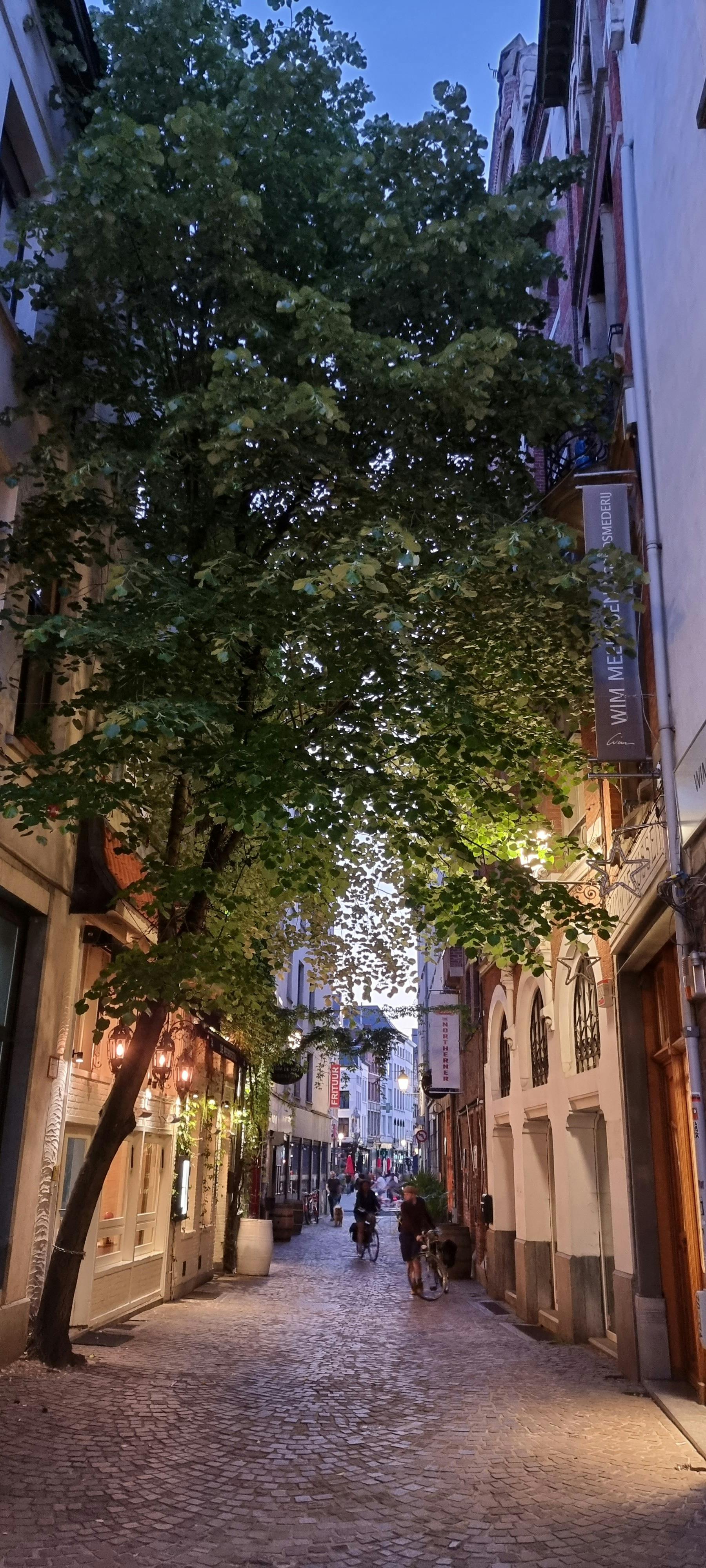 Arsim A. Berisha – fotografia