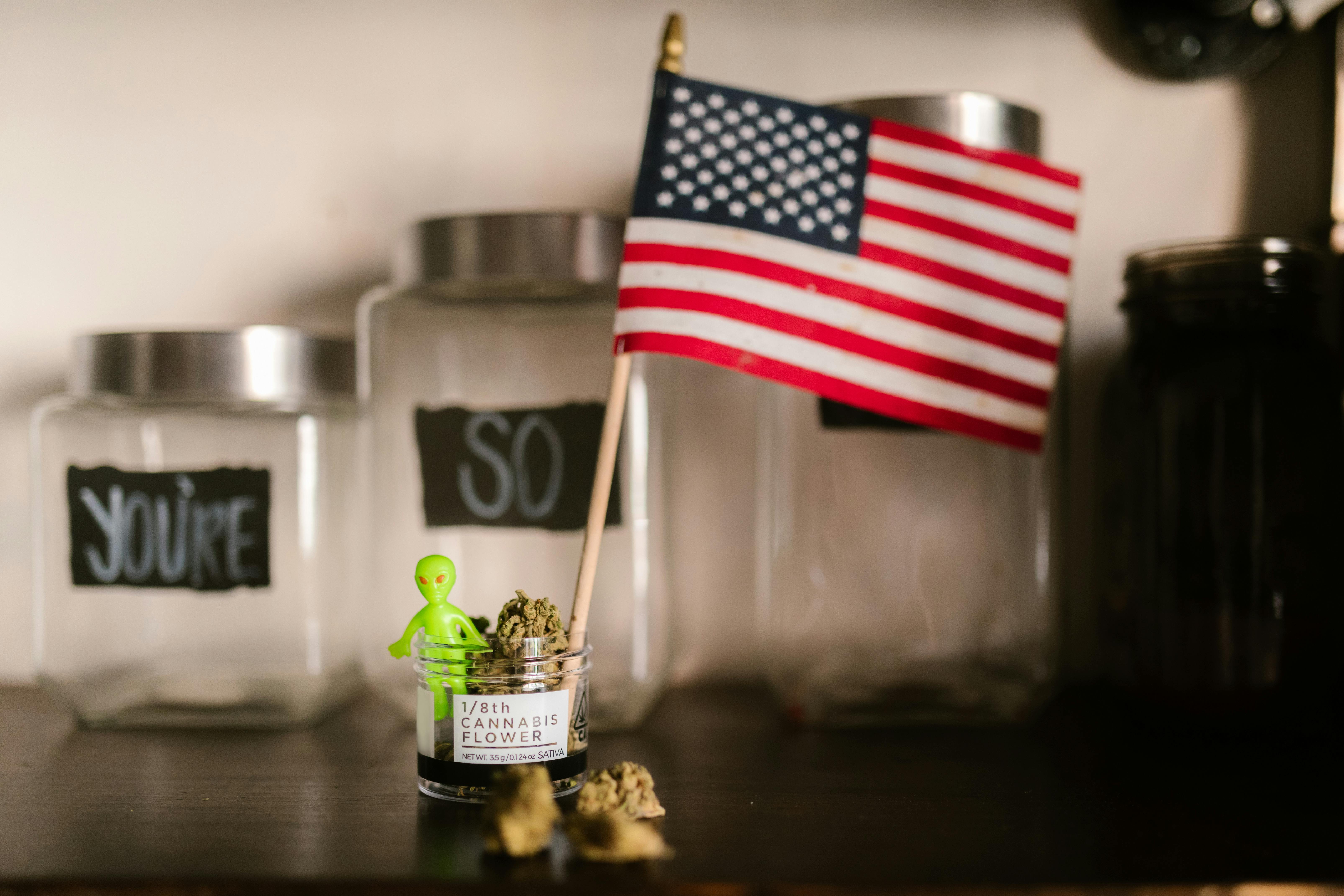 Weed Family Photos, Download The BEST Free Weed Family Stock Photos ...