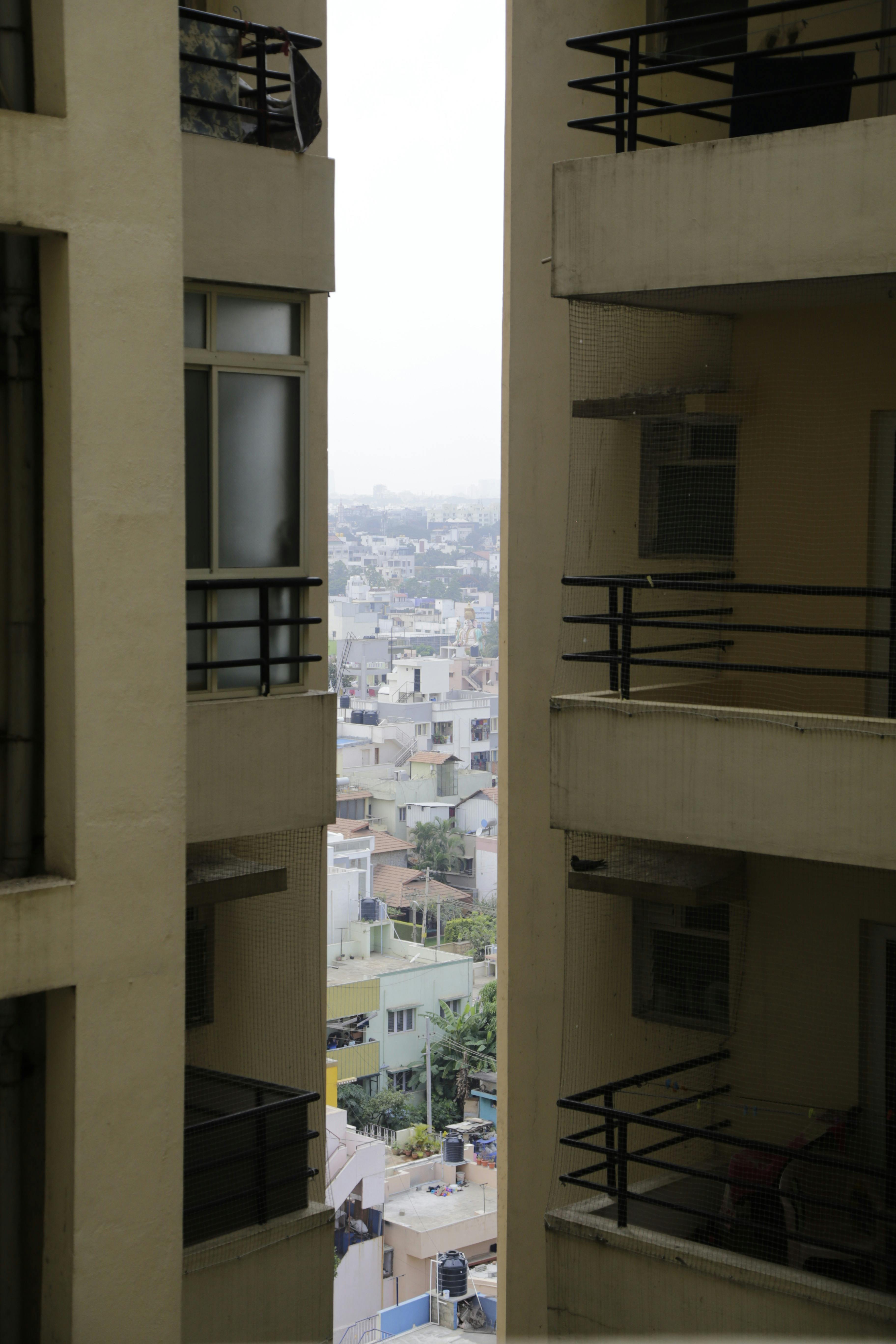 Richard Nolan - 写真