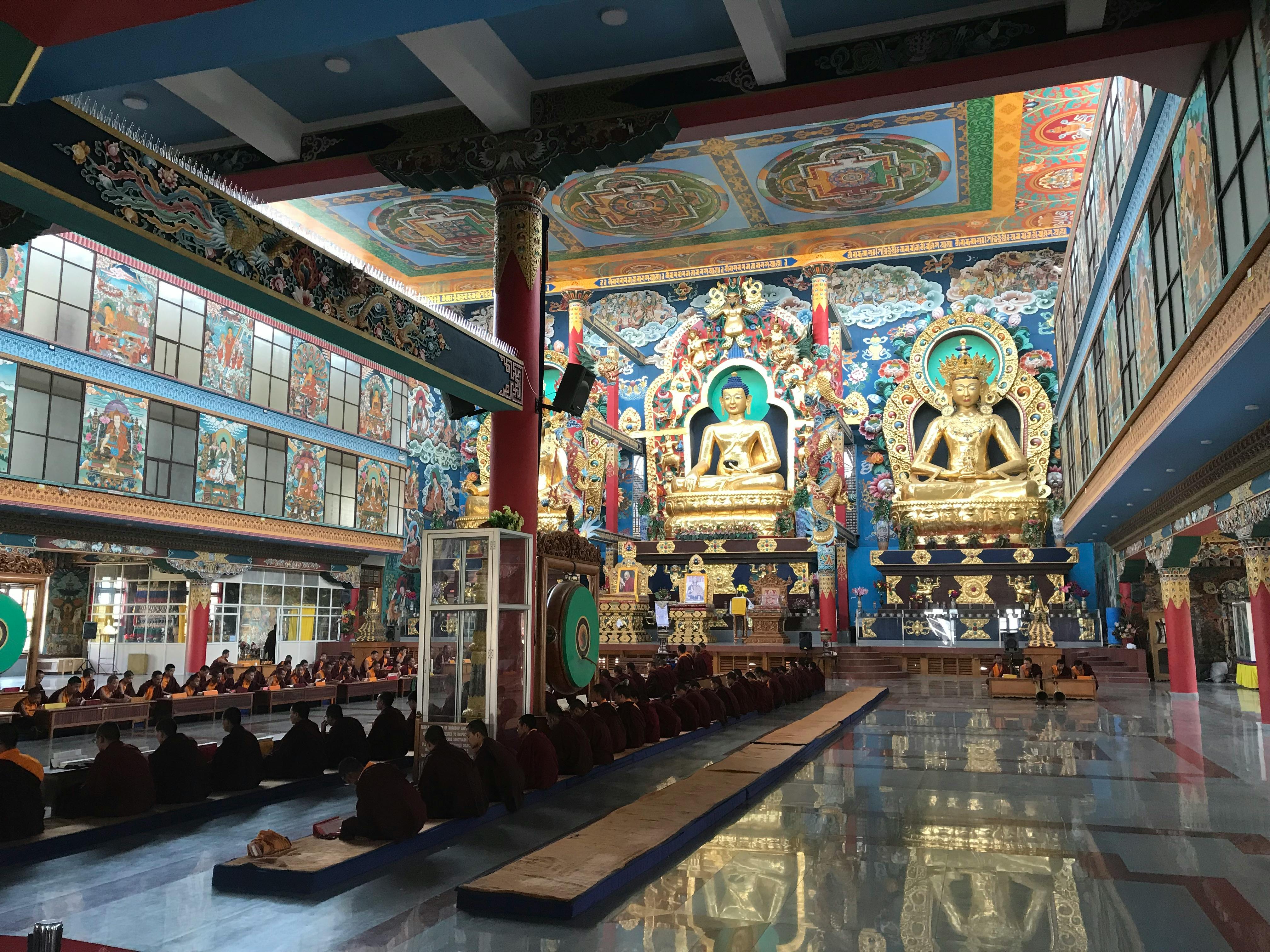 Richard Nolan - 写真