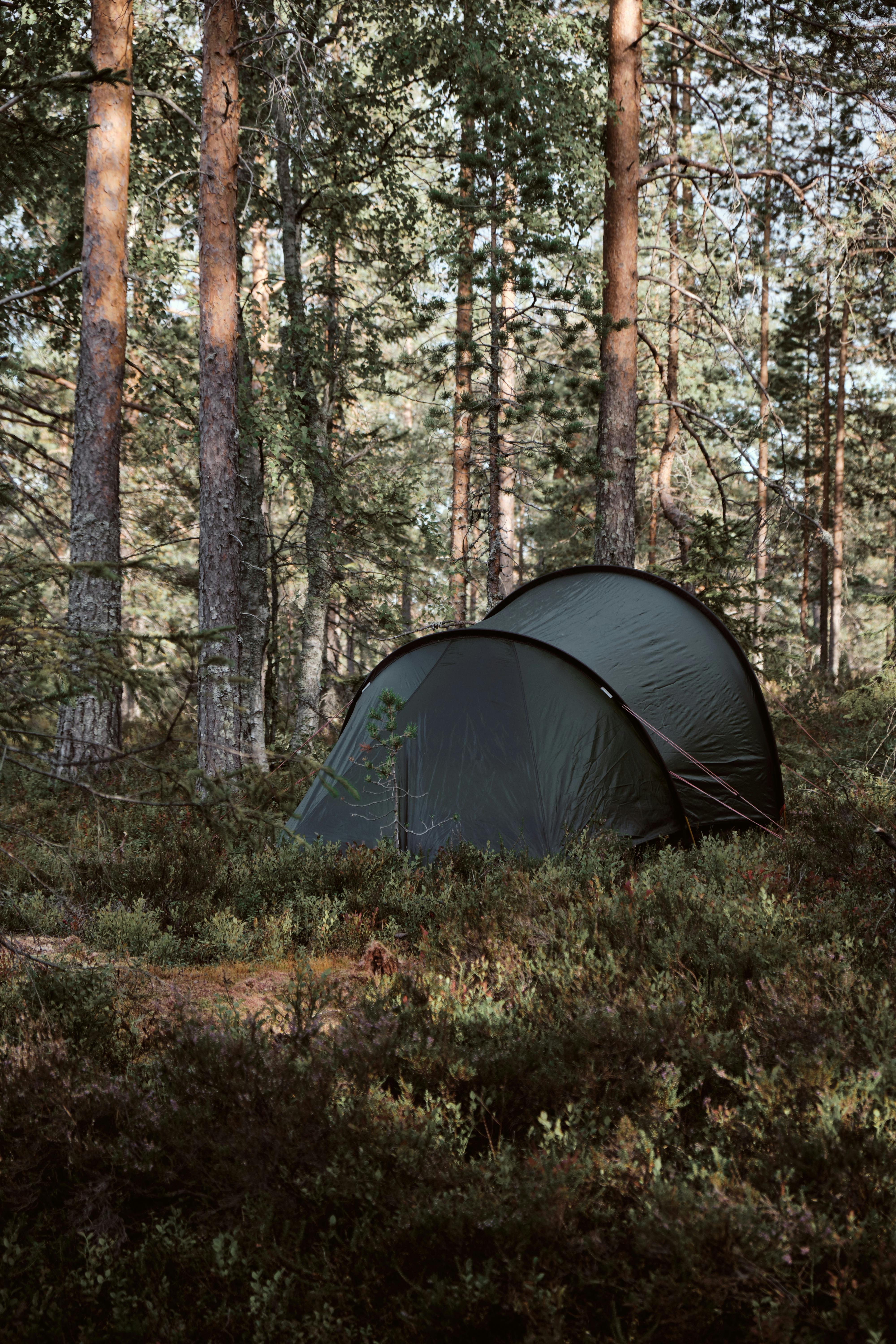 A Black Tent Set Up in the Woods · Free Stock Photo