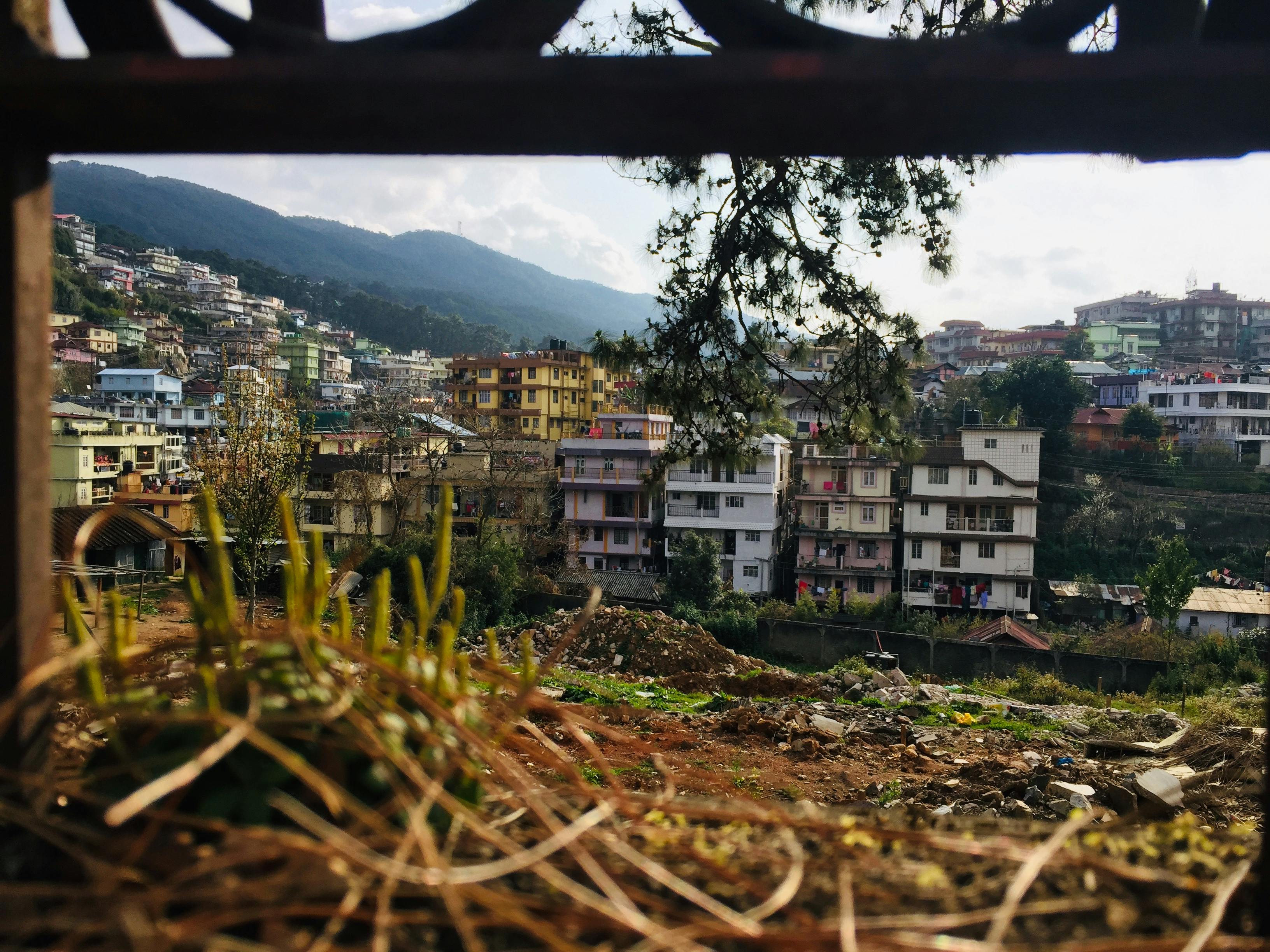 Richard Nolan - 写真