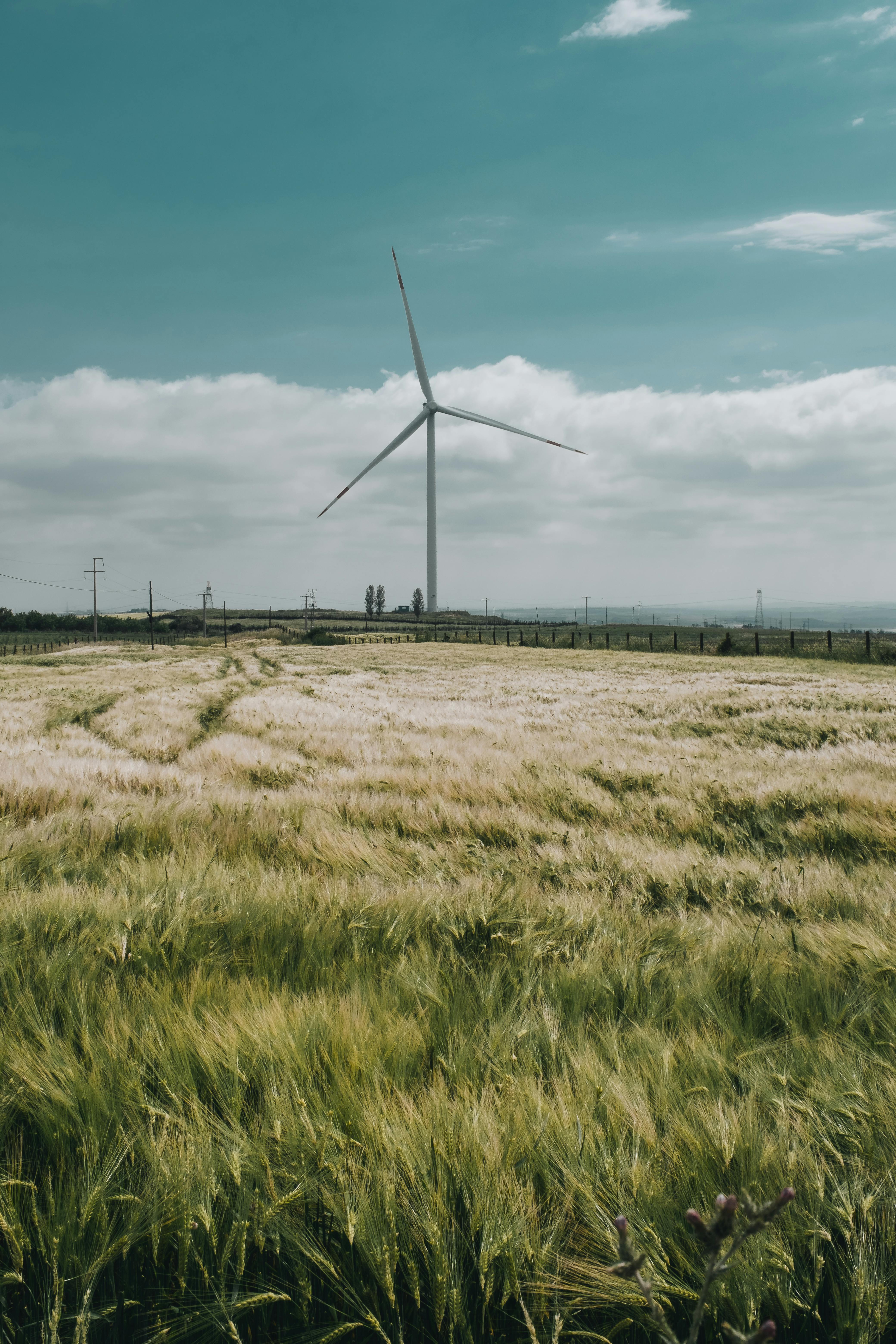 Field Near Windmill · Free Stock Photo