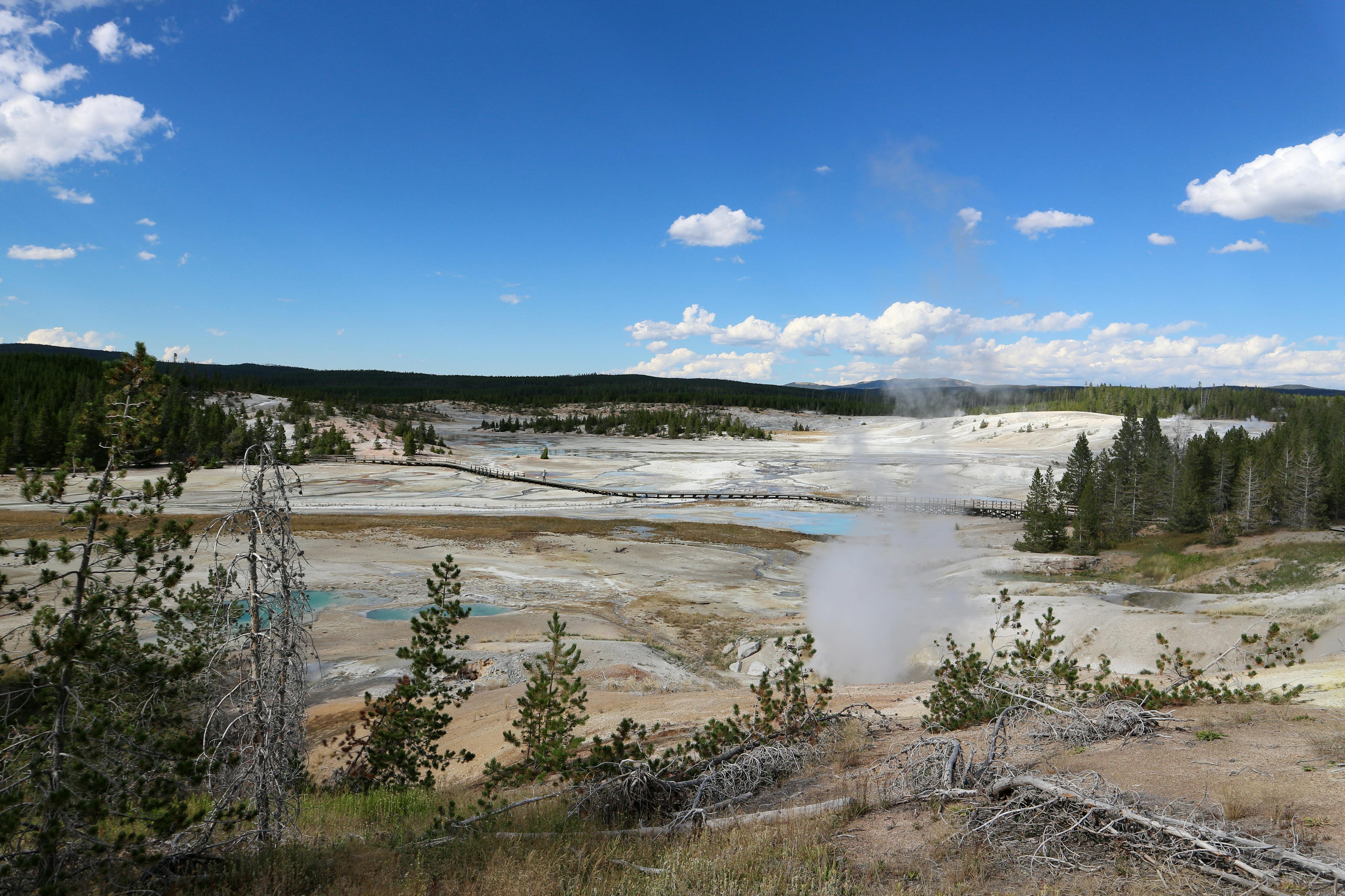 Scenic View of the Norris Geyser Basin in Yellowstone National Park ...