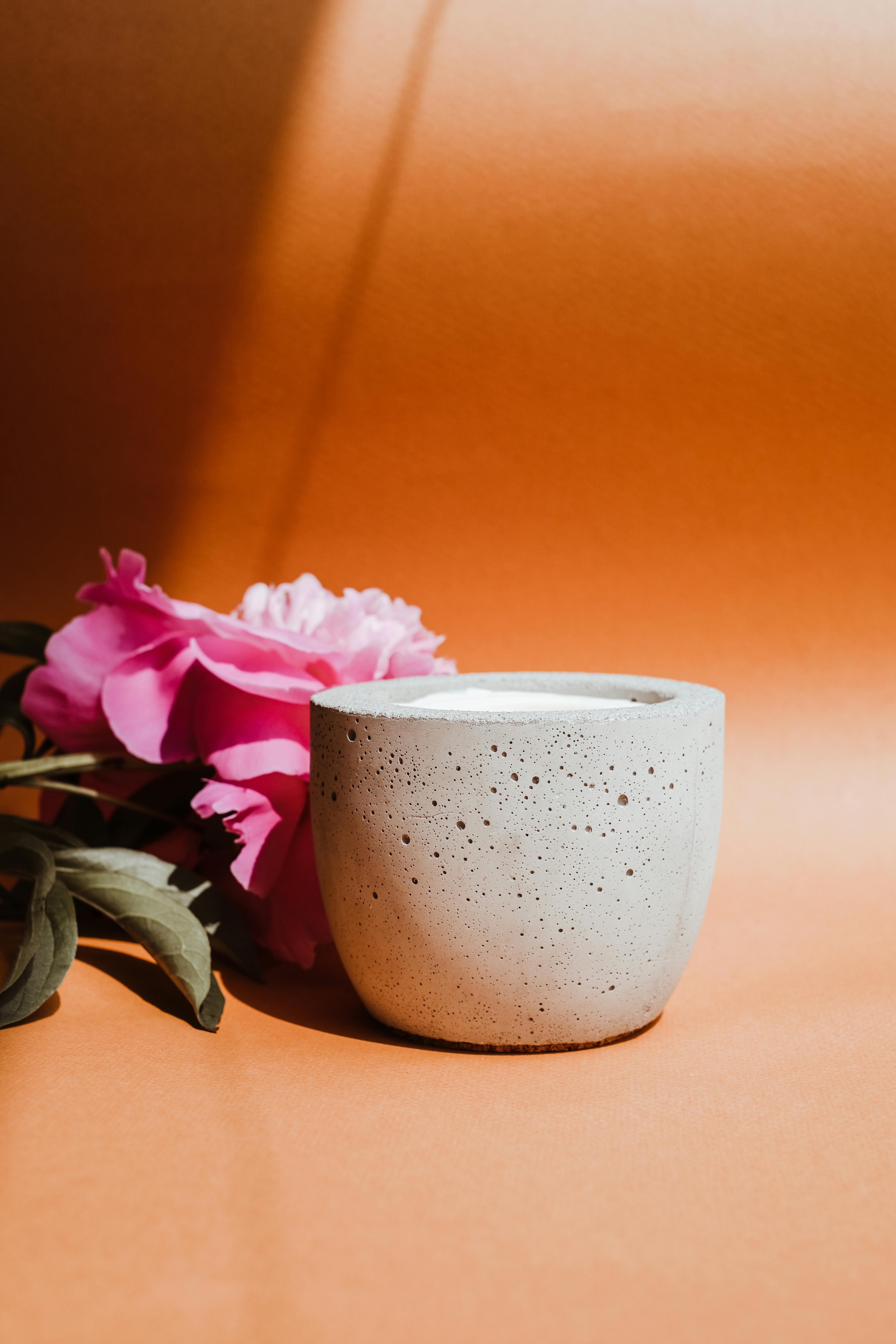 Concrete Cup Photos, Download The BEST Free Concrete Cup Stock Photos ...