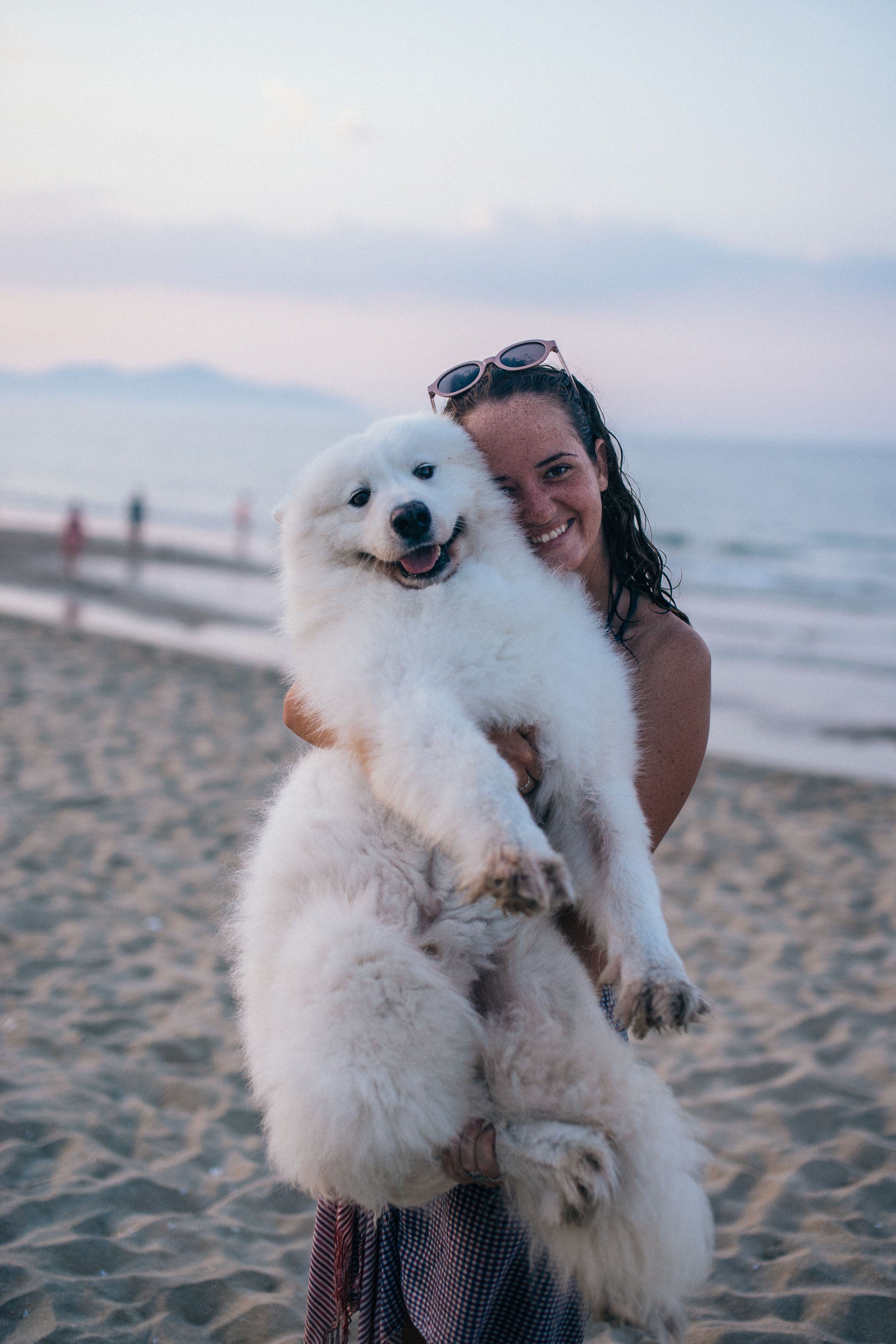 A Beautiful Woman Carrying Her Pet Dog · Free Stock Photo