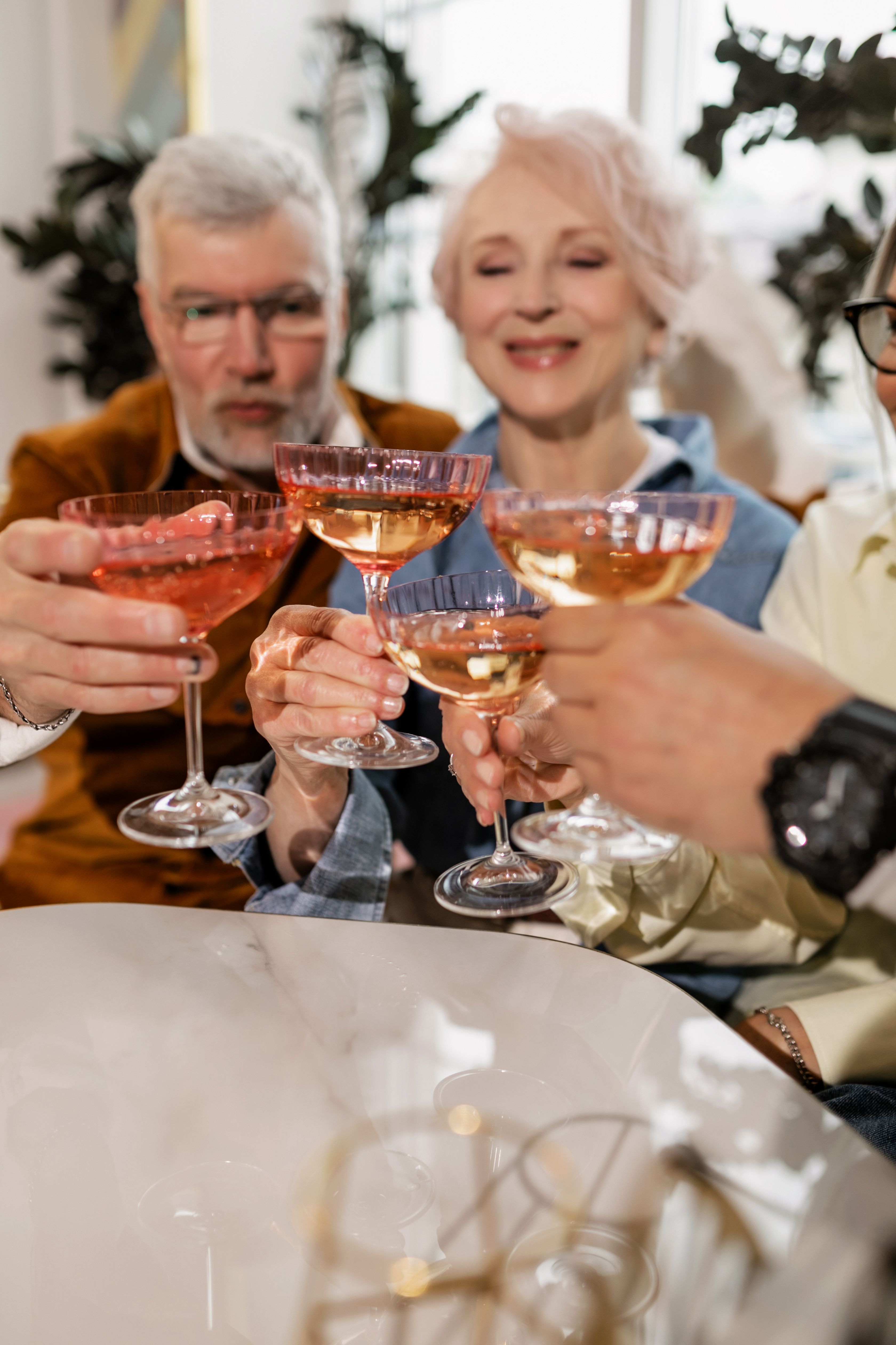 Elderly People having a Toast · Free Stock Photo