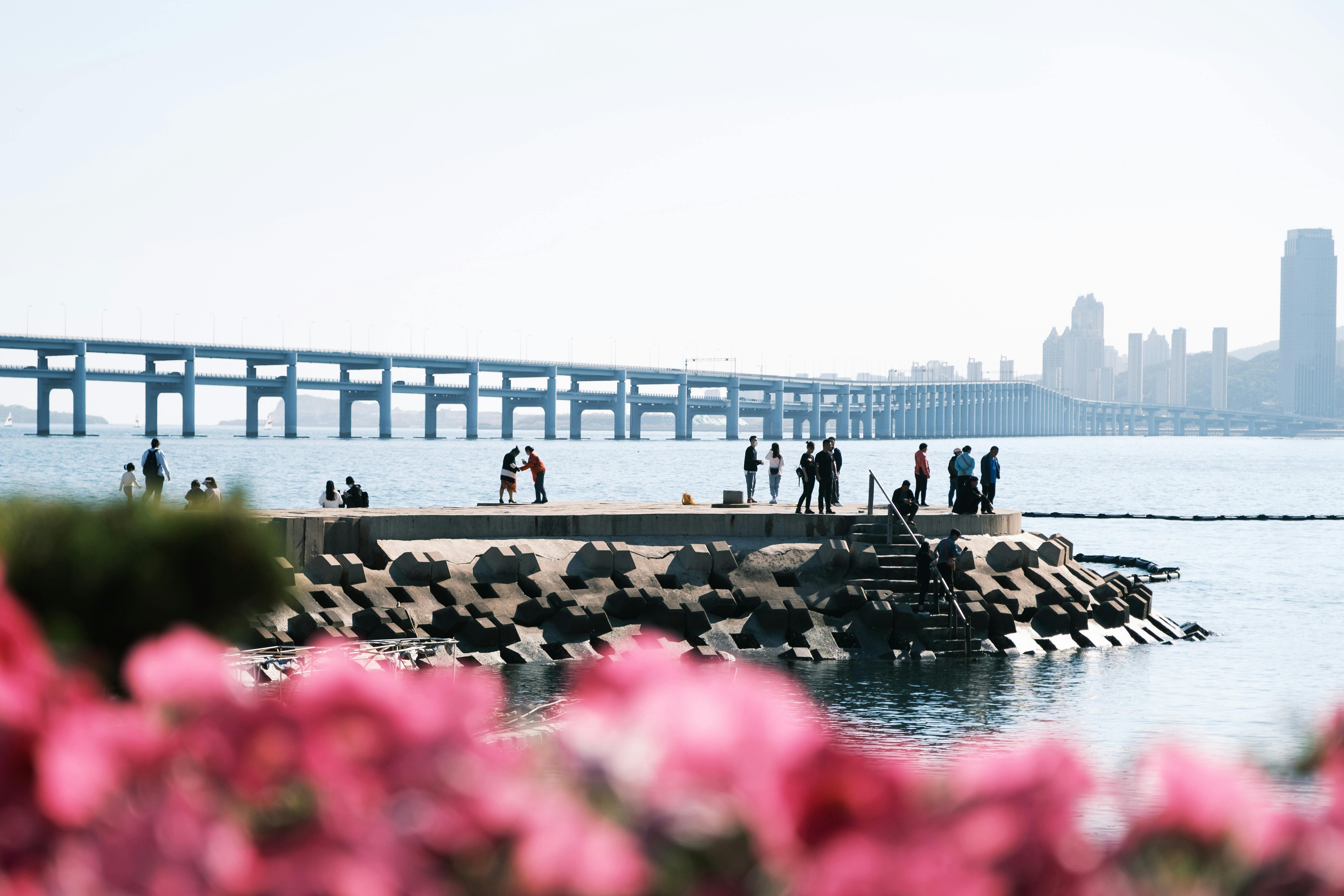 People on a Coastal Jetty With a Long Bridge in the Background · Free ...