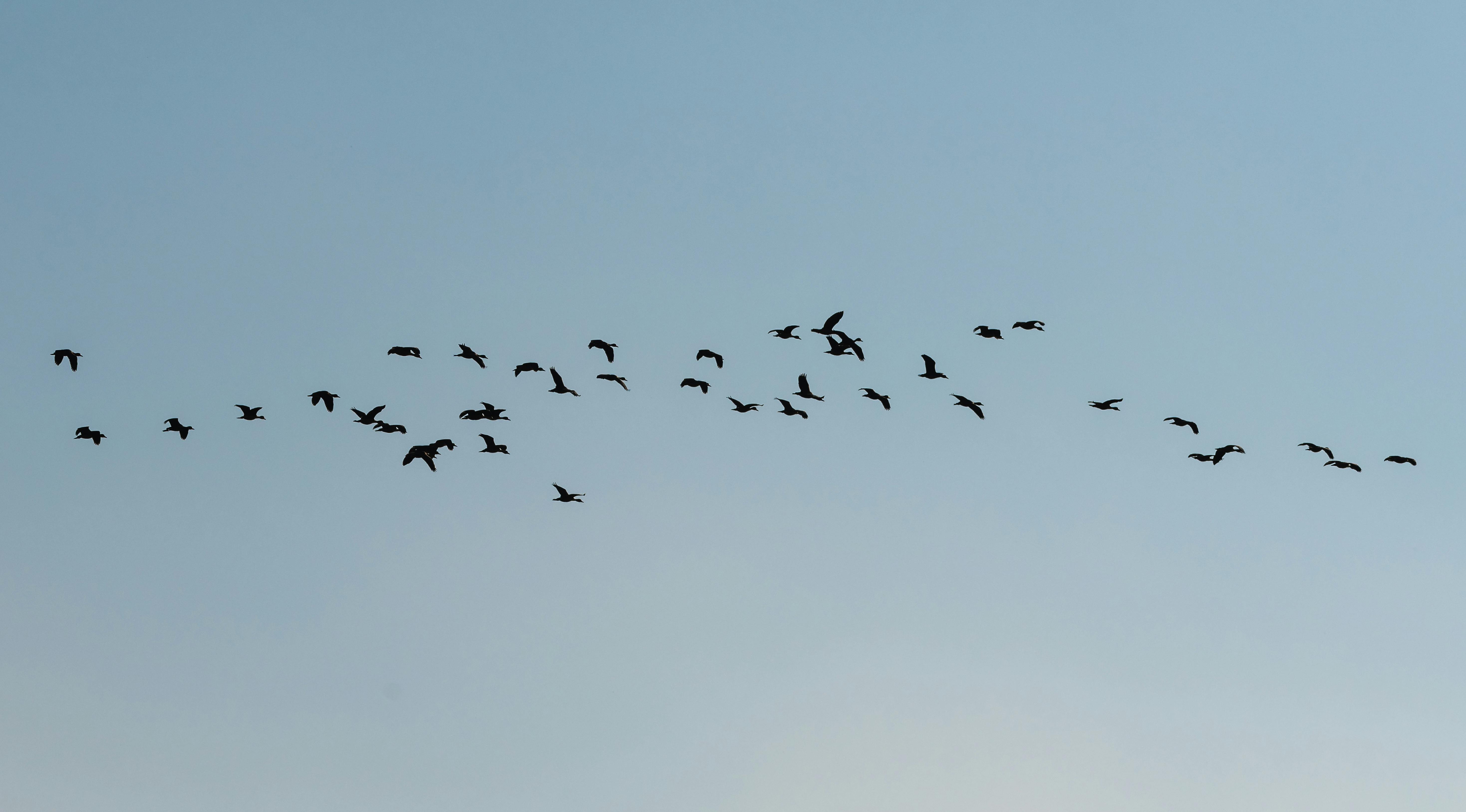 Subarna Upreti - Photography