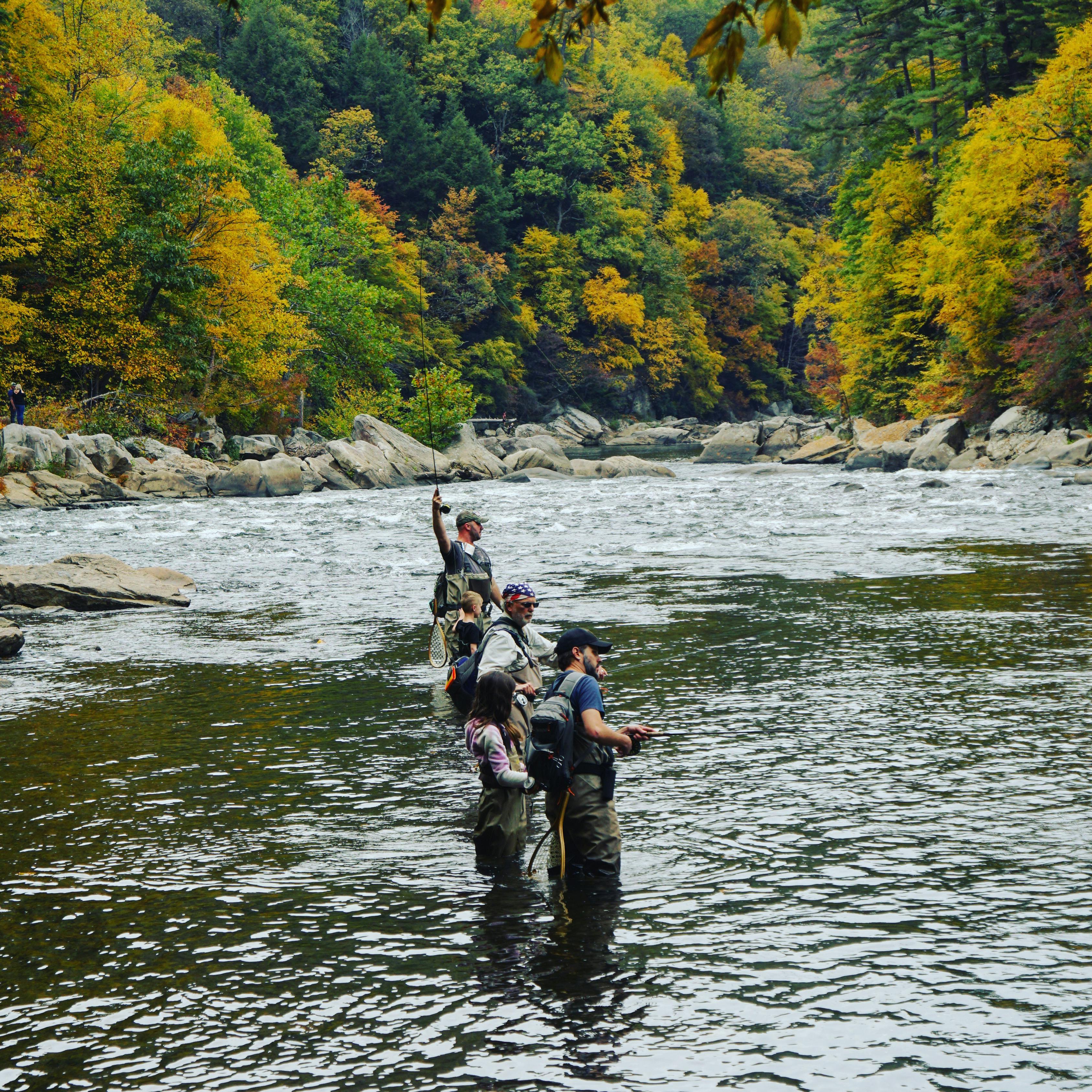 People Fishing on the River · Free Stock Photo