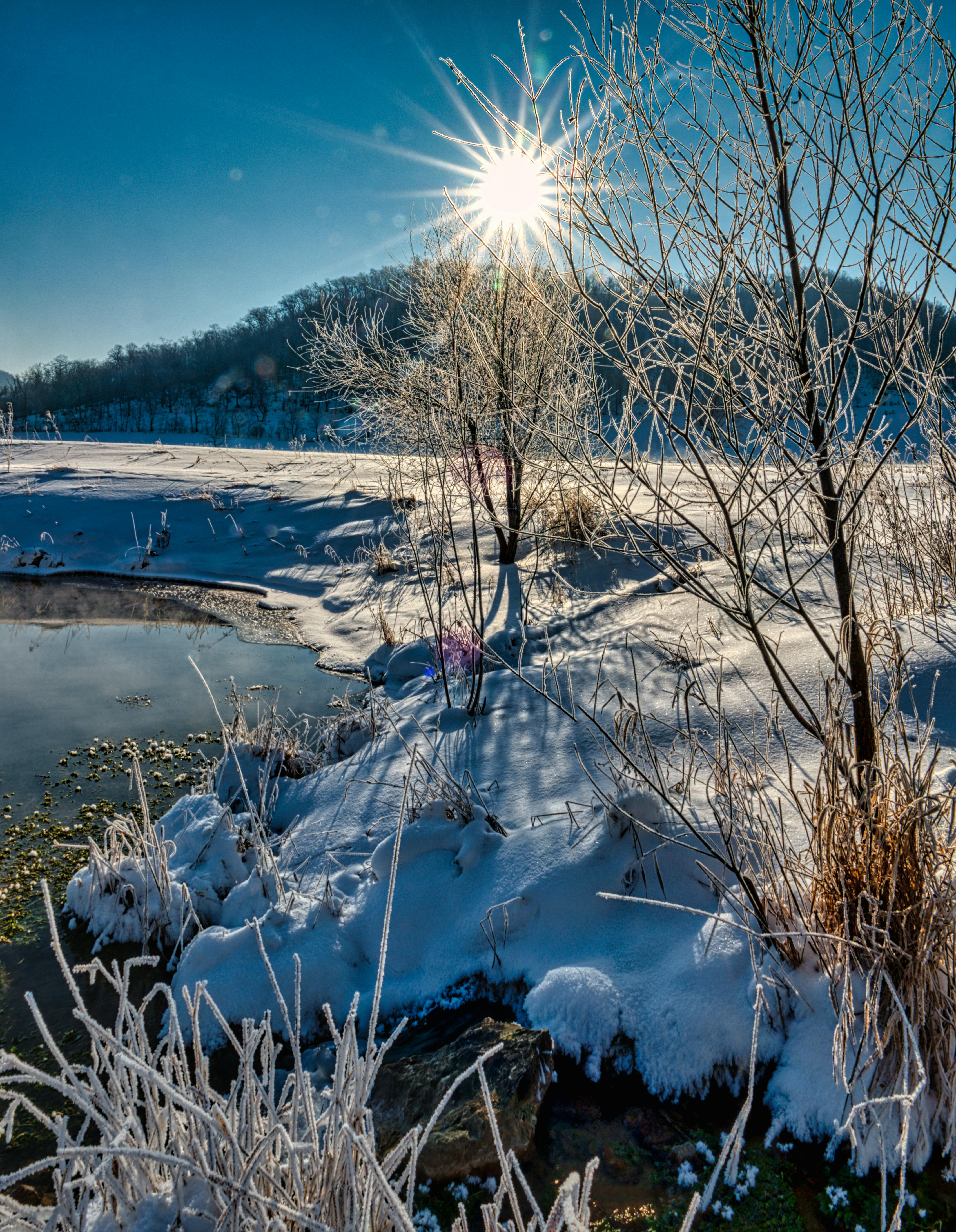 Landscape Photography of Snowy Forest · Free Stock Photo