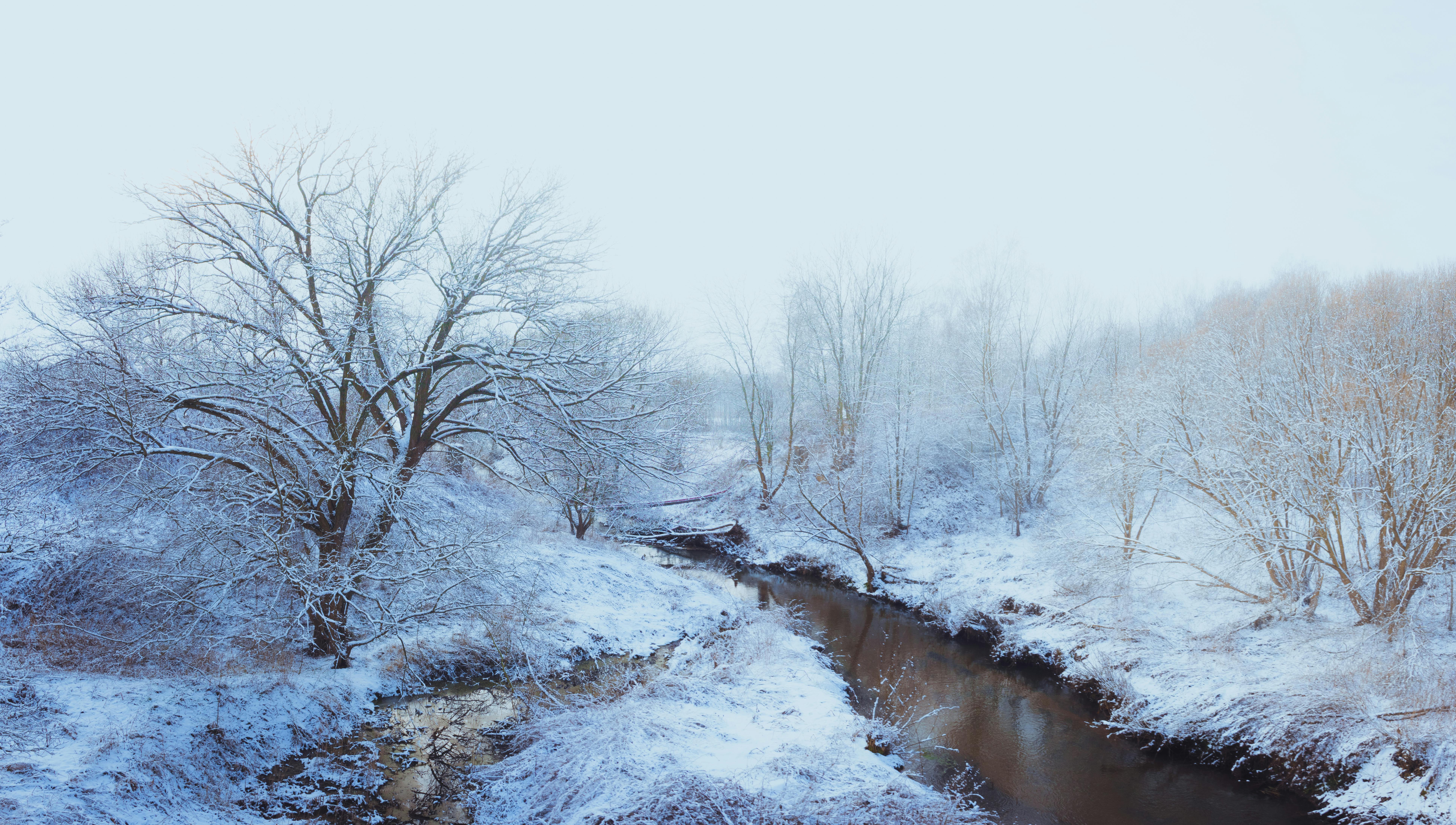 Adam Grabek - 사진